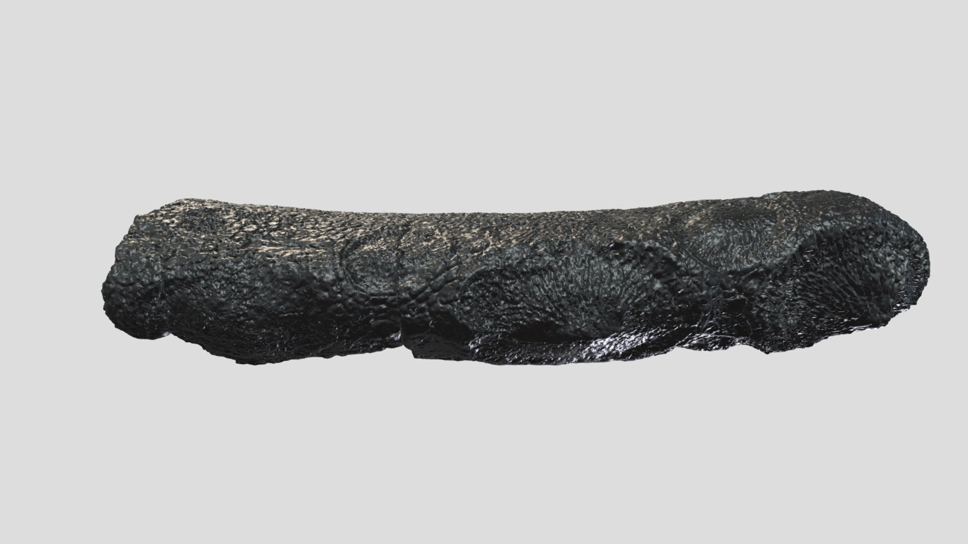 Glyptodont tail Panochthus - 3D model by Palaeontological Museum UZH ...