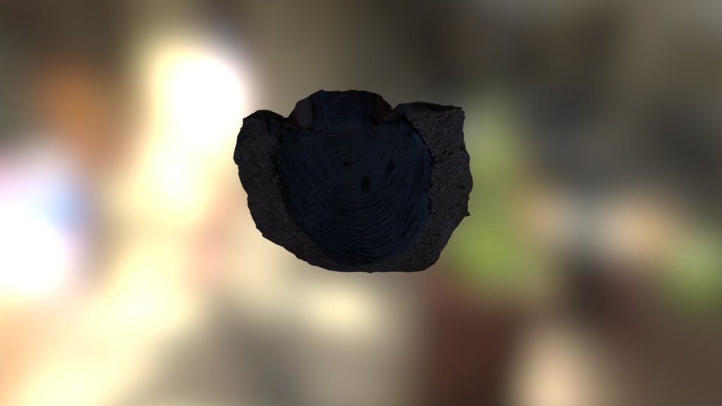 Experimental lava flow - 3D model by einatlev [480903c] - Sketchfab