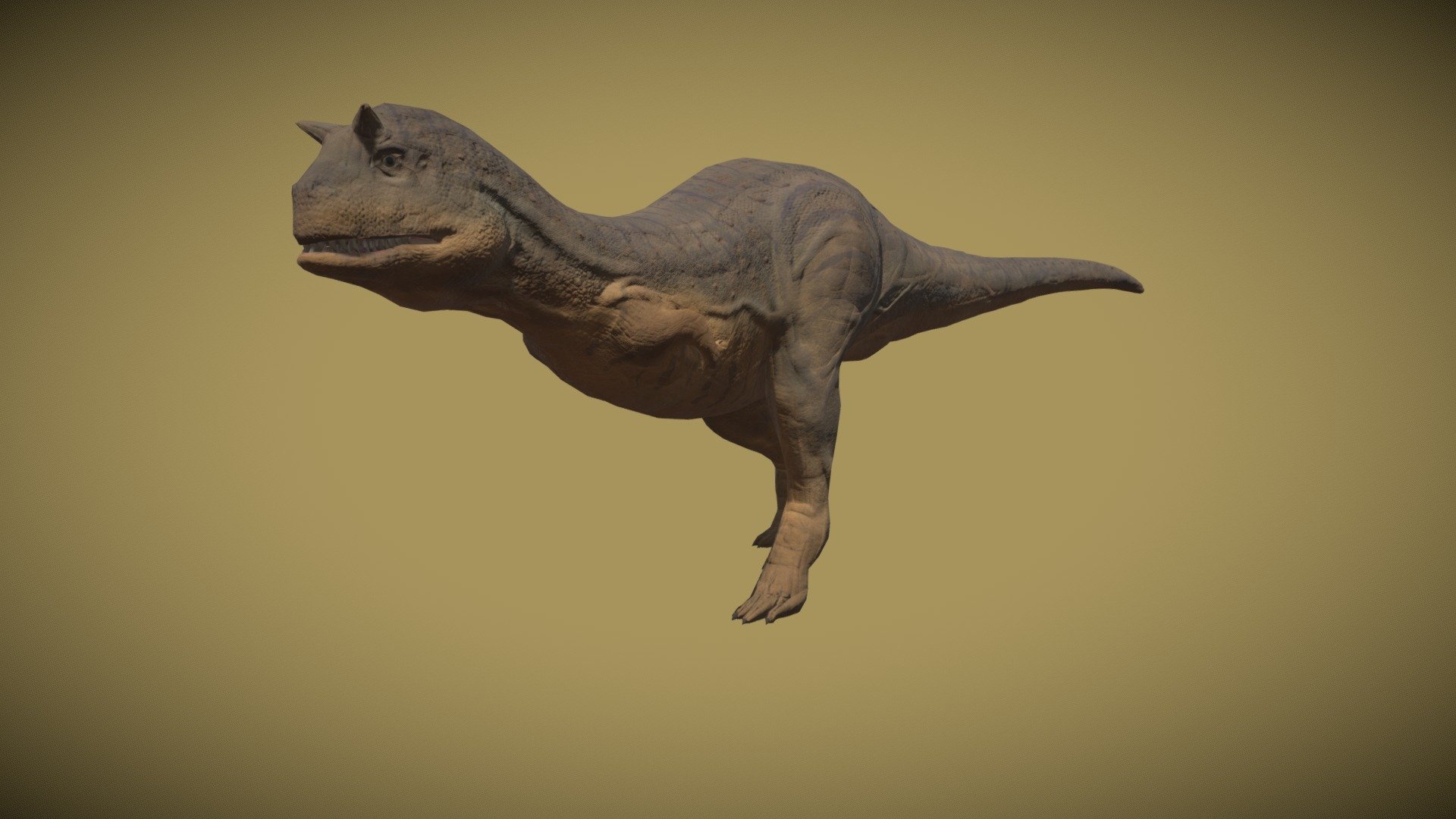 Carnotauro - 3D model by estudiomezcla [48096dc] - Sketchfab