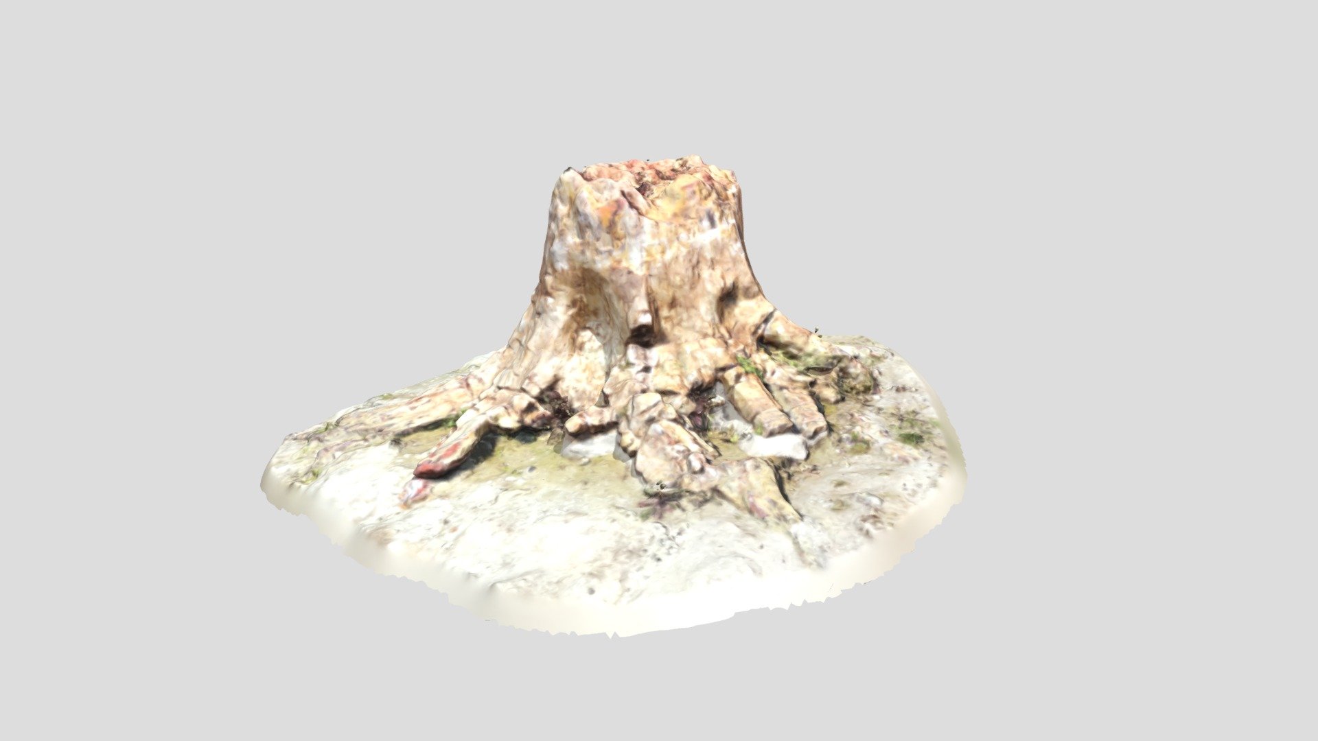 Fossilized Trunk No5, Bali Alonia, Lesvos - 3D model by woody14 [4809ae5] - Sketchfab