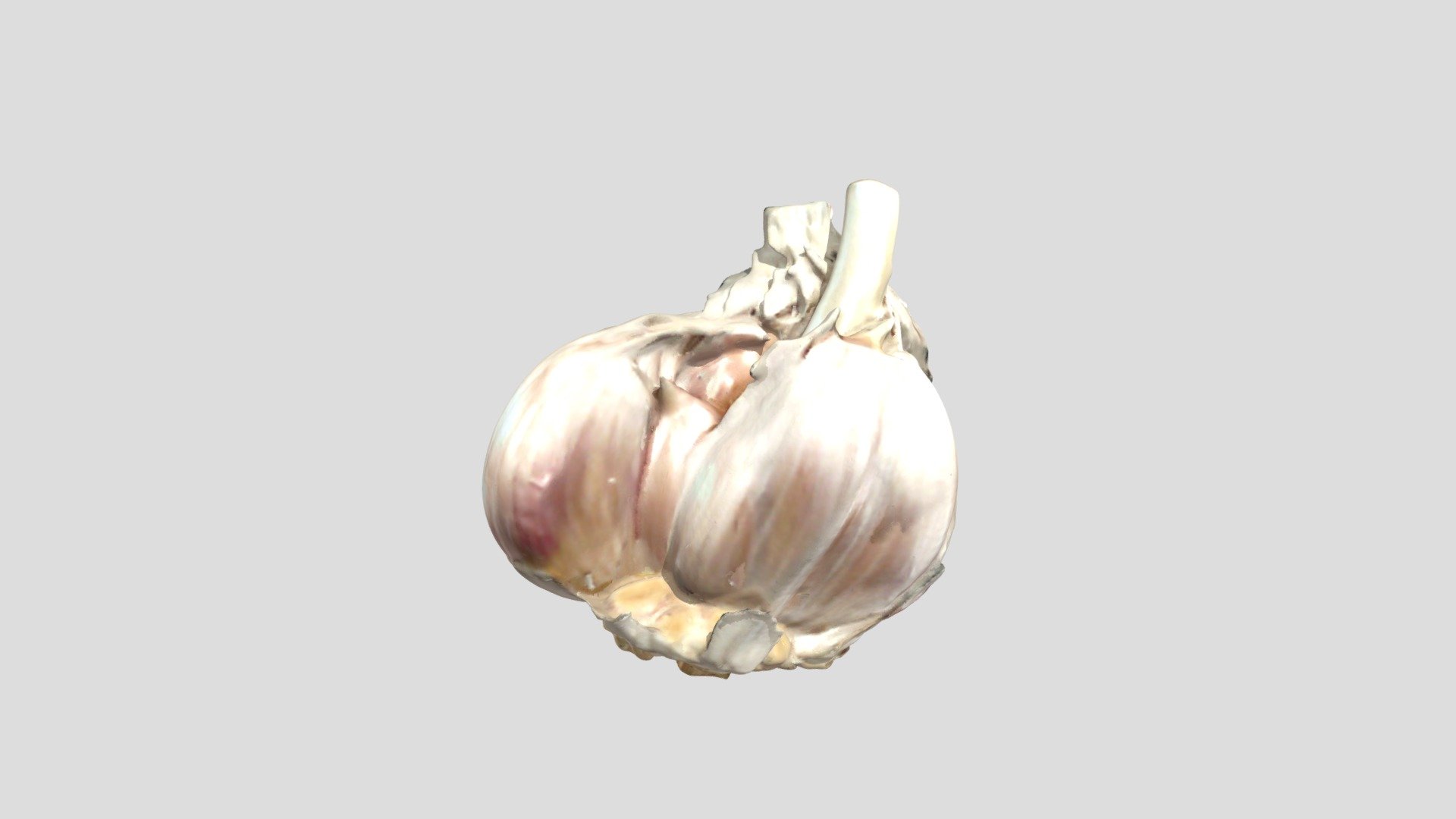 Garlic - Download Free 3D model by lupusworax [4816f70] - Sketchfab