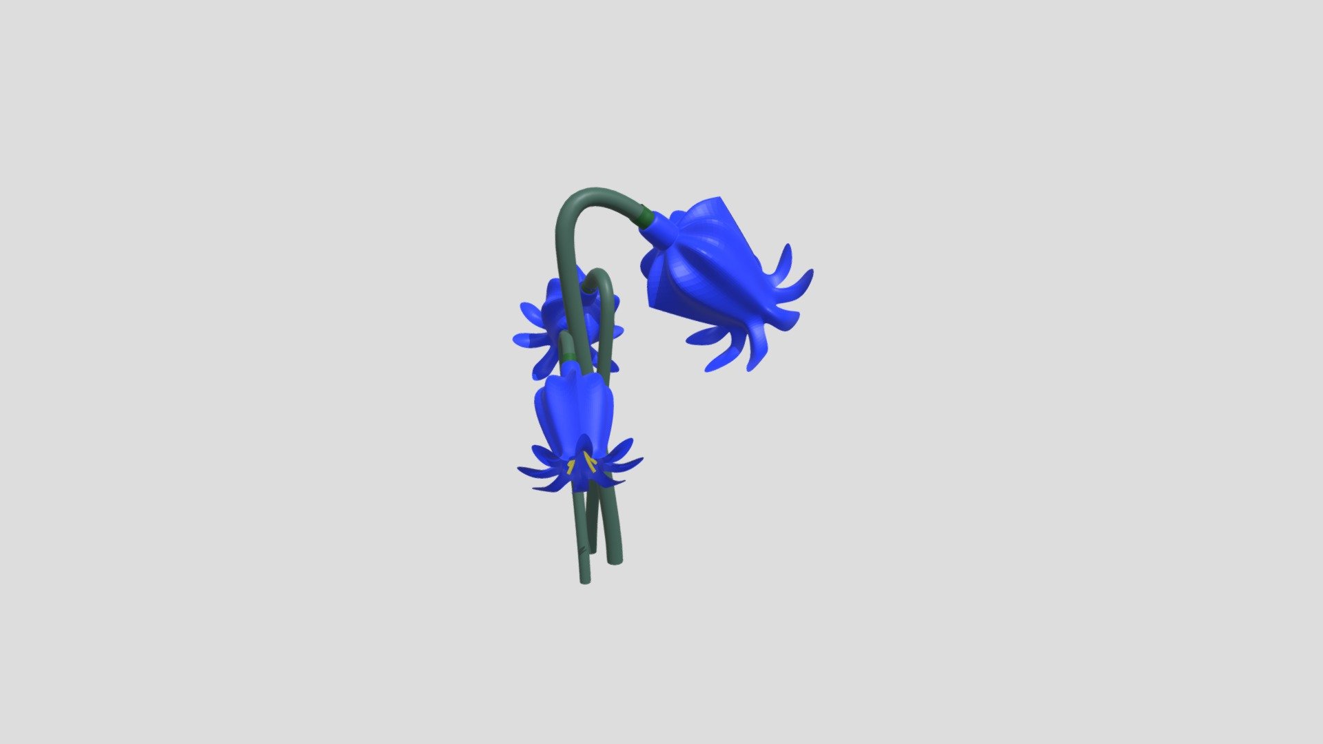 Moondrop flower - Download Free 3D model by yongliang1000 [48207c9 ...