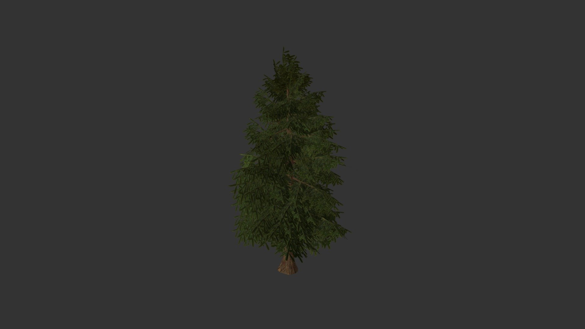 FIR TREE - 3D model by ken-a-james [4823da9] - Sketchfab