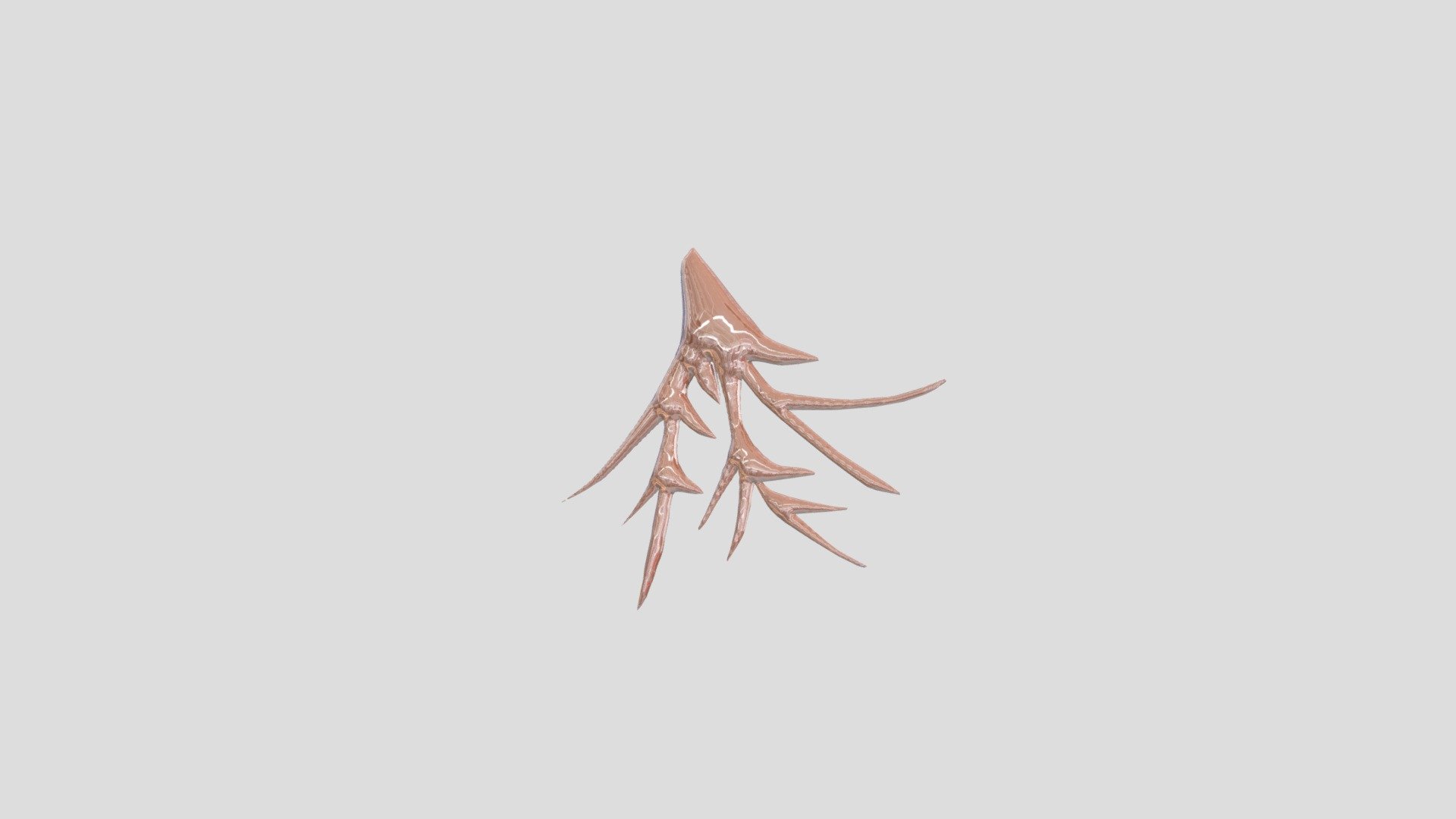 bagian_akar_tumbuhan - 3D model by arimimahardika [482f5e1] - Sketchfab