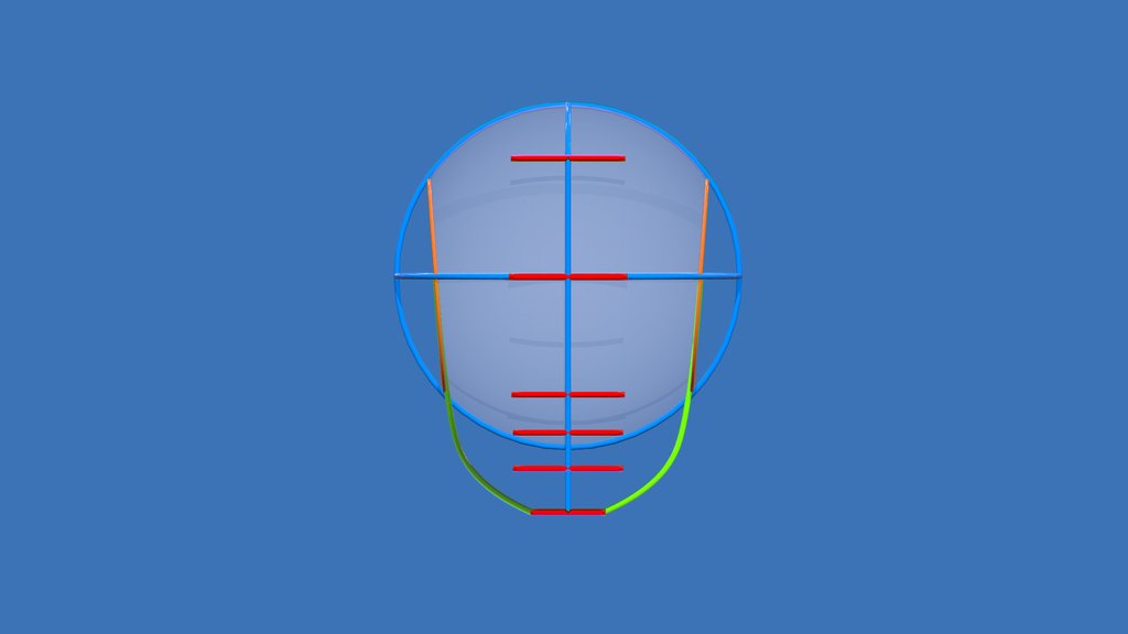 Loomis Heads - A 3D model collection by ediri (@ediri) - Sketchfab
