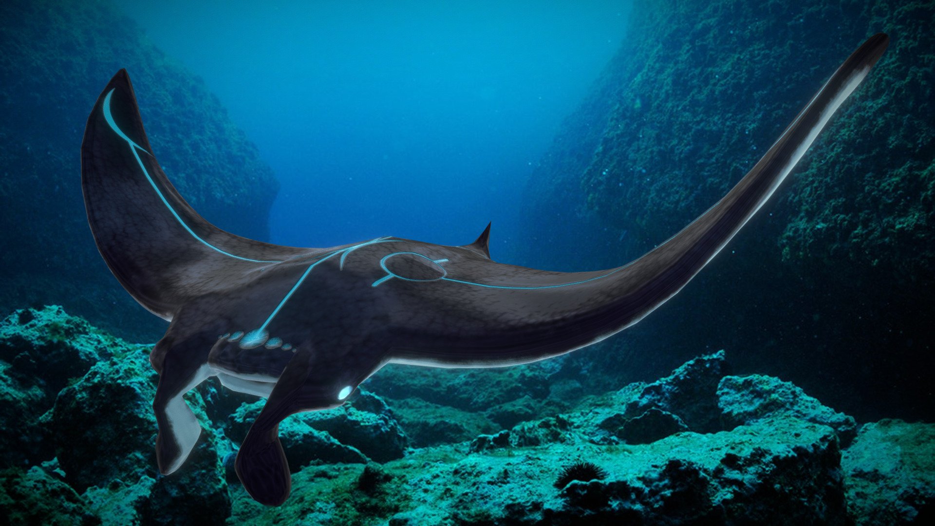 Manta ray - Download Free 3D model by sarah.tippets [483f789] - Sketchfab