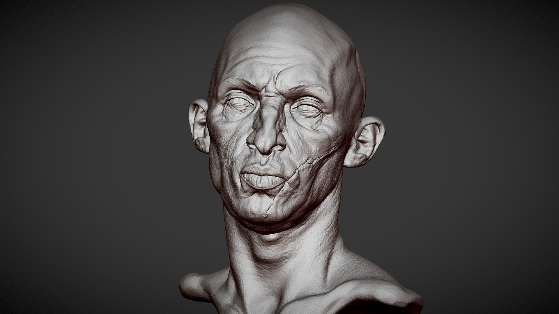 Head 2 from Heads Bundle 2 - Download Free 3D model by Steffen Hartmann ...