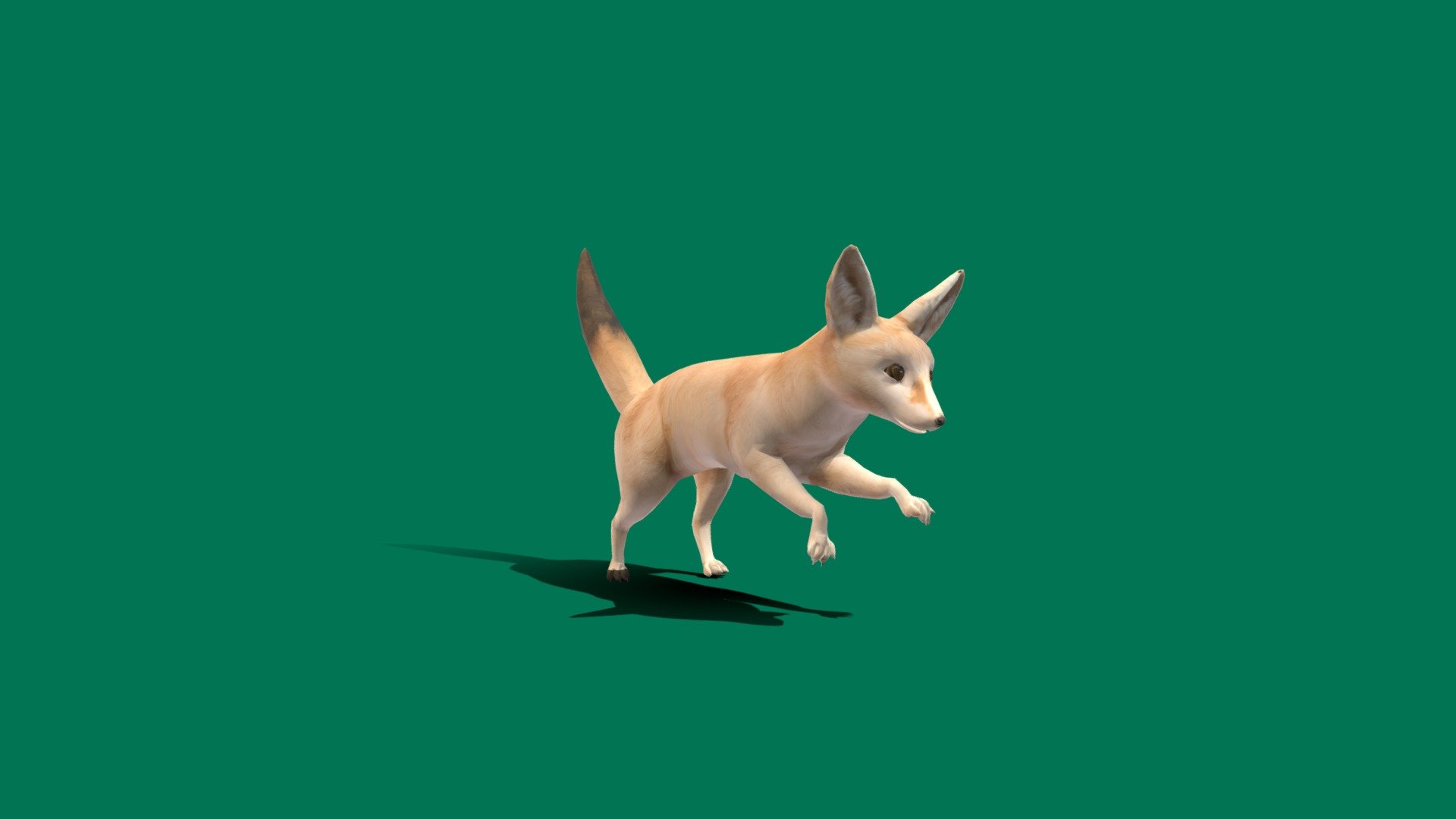 Fennec fox (Lowpoly) - Buy Royalty Free 3D model by Nyilonelycompany ...