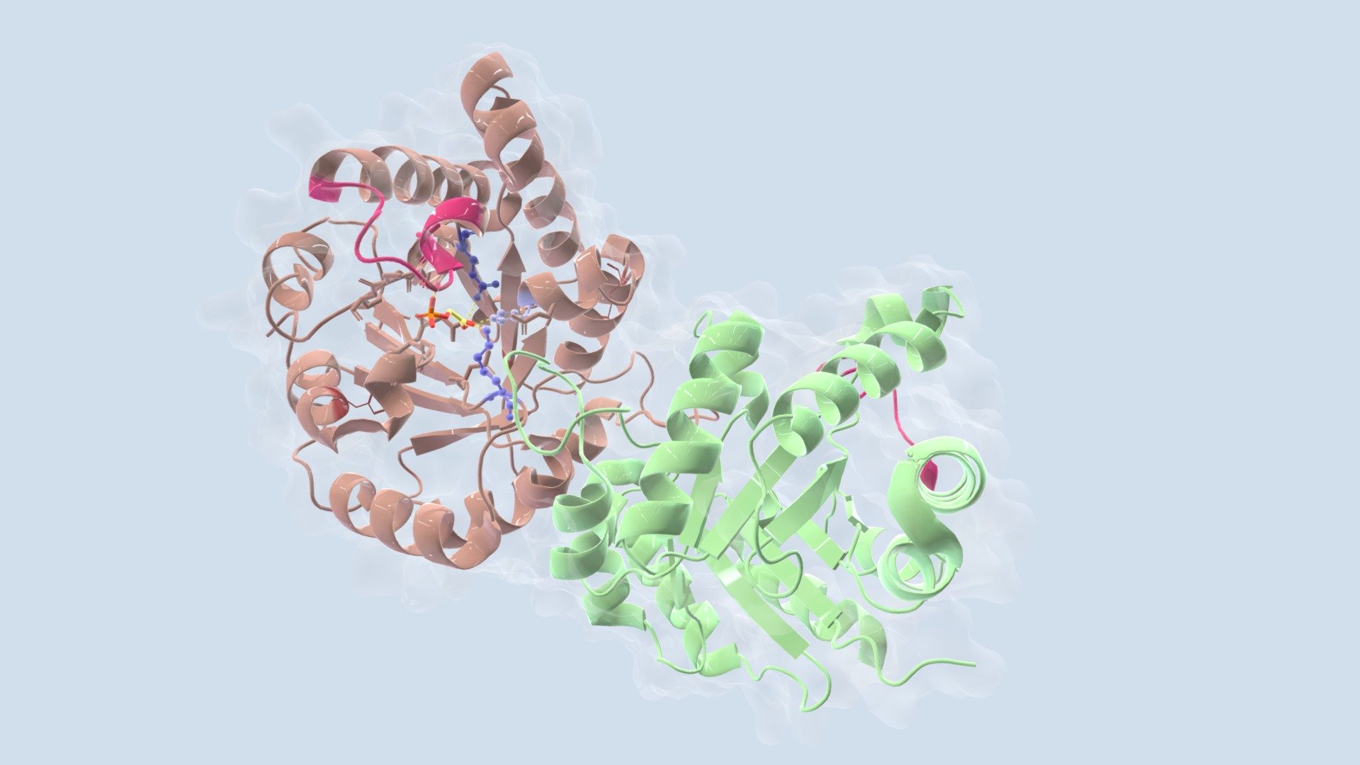Human Triosephosphate isomerase Molecular Model - 3D model by emmthom ...