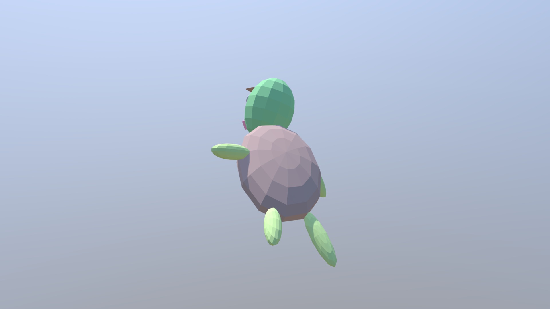 Turtle - 3D model by wtate414 [485a27b] - Sketchfab