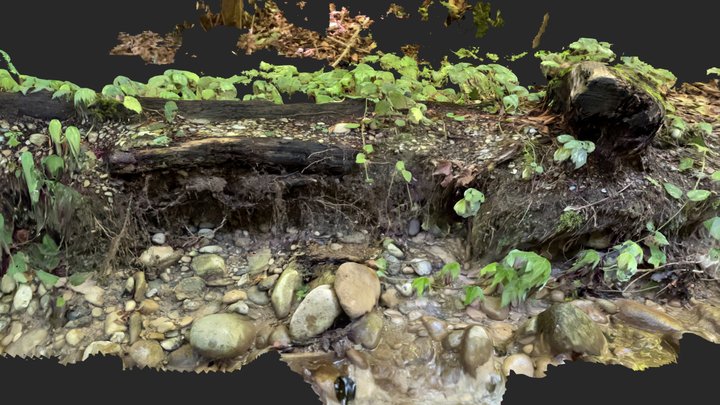 Creek 3D models - Sketchfab