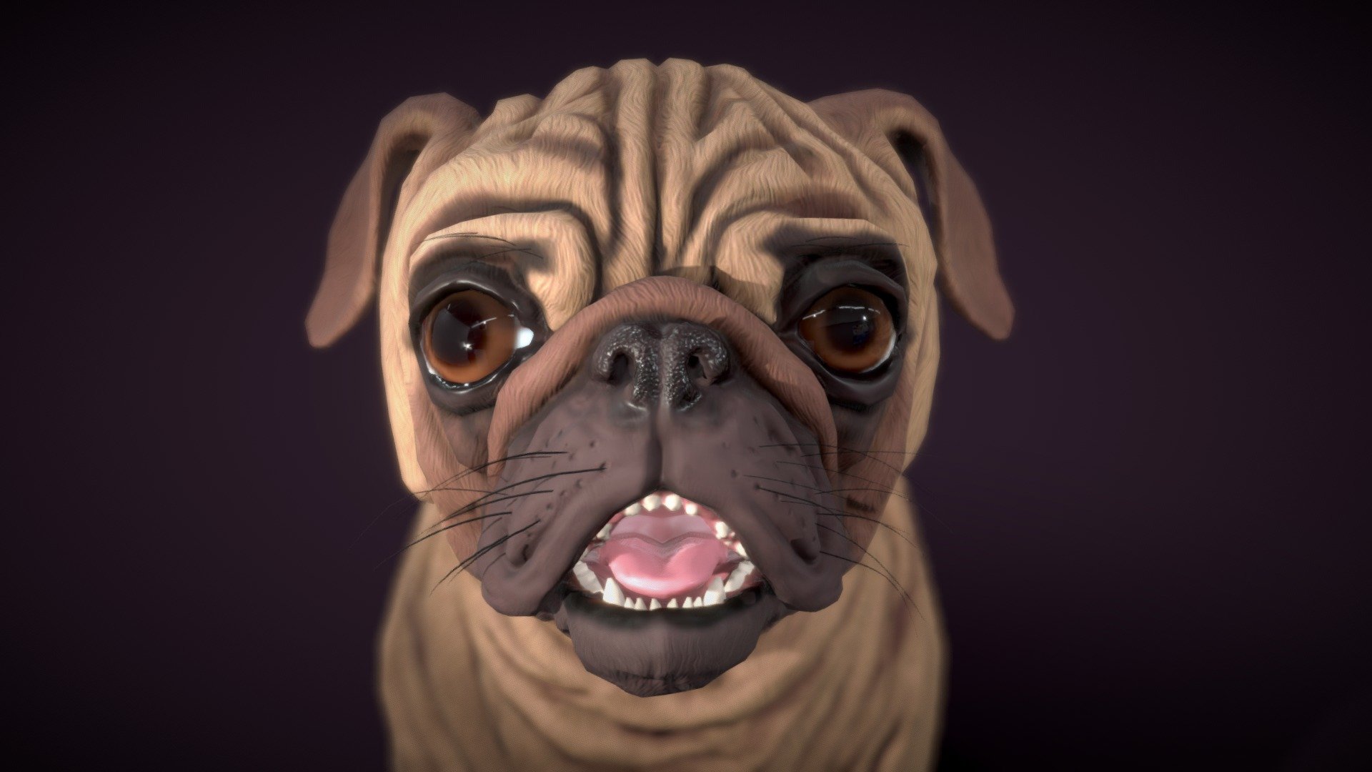 Pug - 3D model by kysylychak [4866b1f] - Sketchfab