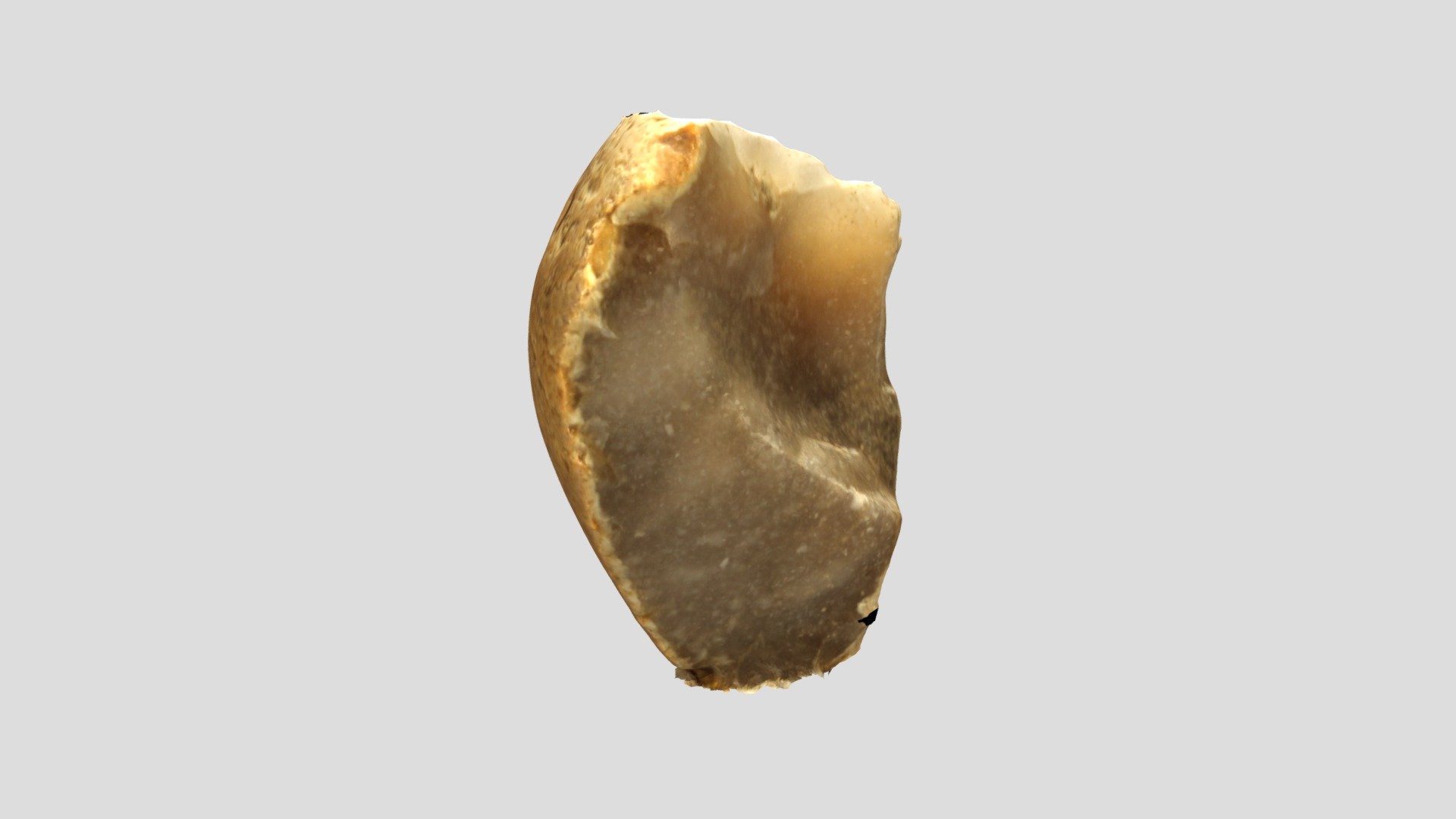 Flint - 3D model by Moira Blackmore (@moisa633) [486bc71] - Sketchfab