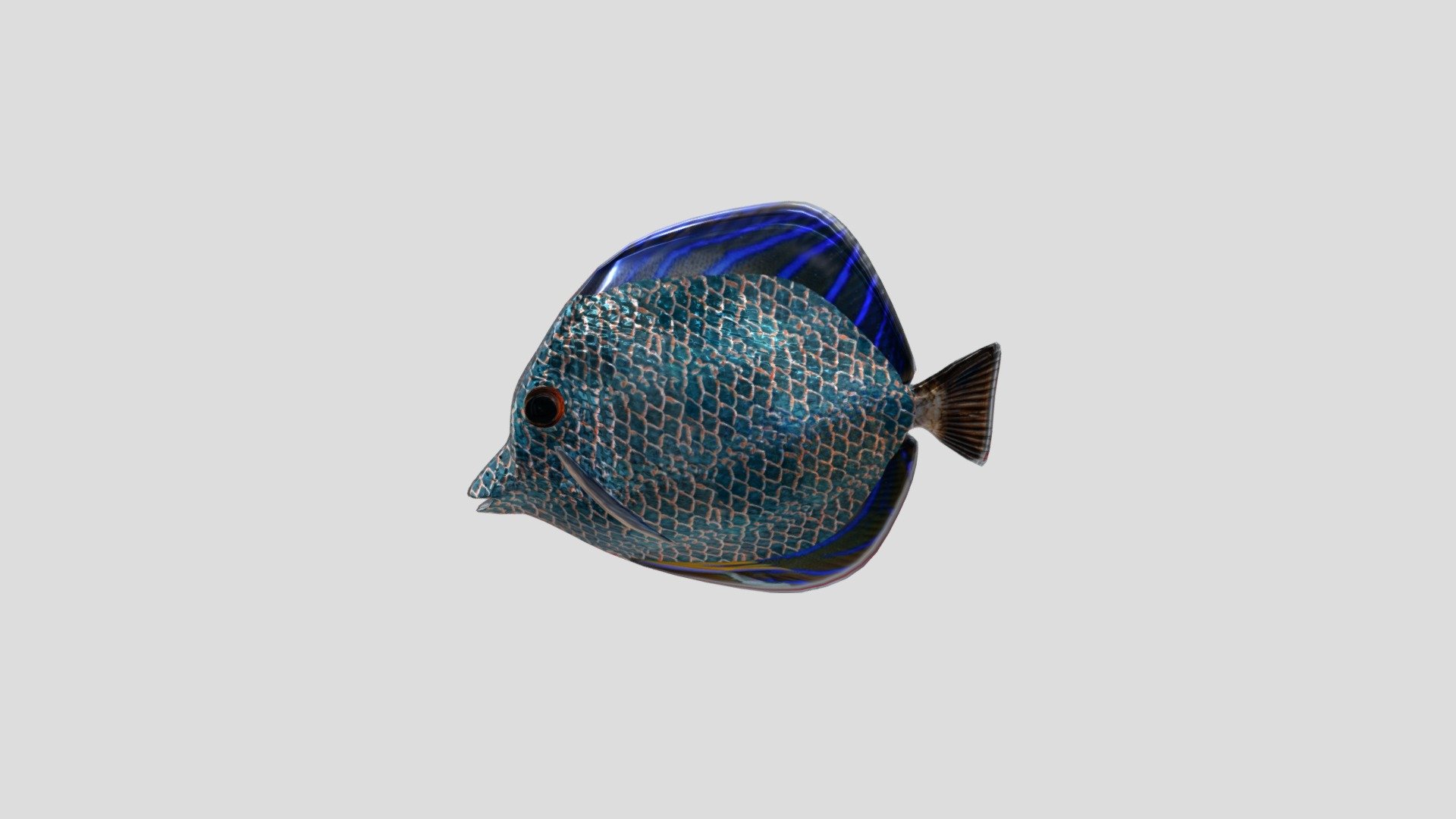 Fish - Download Free 3D model by j8cov (@j8cobcreative) [48718d7 ...