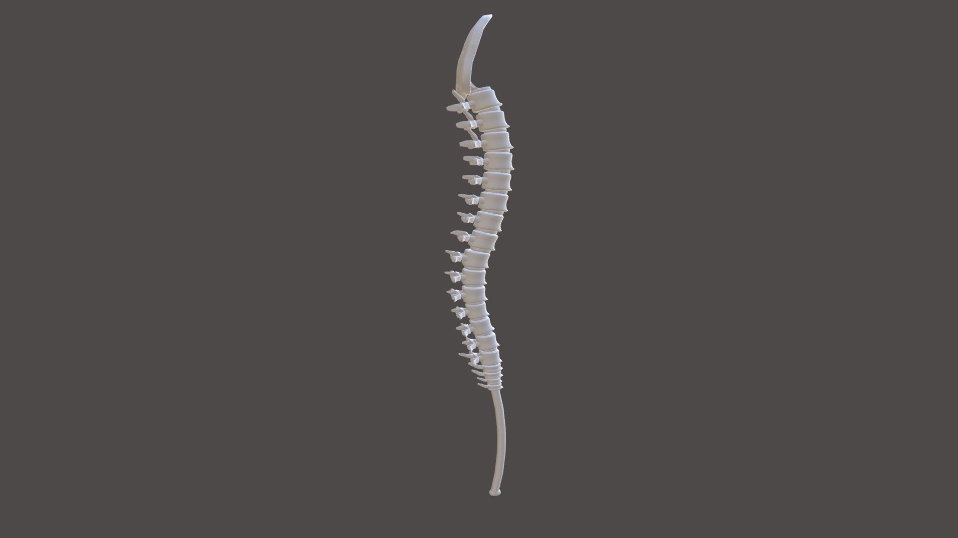 spine sword - 3D model by IbrahimAguiar [4877778] - Sketchfab