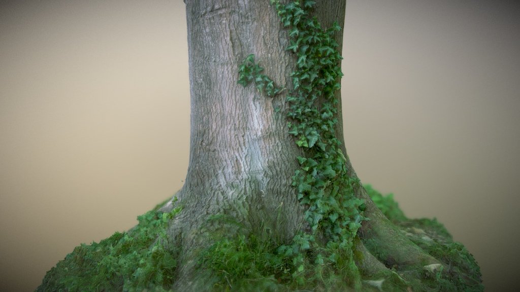 Arbre - 3D model by Fabien Tarbouriech | creactifdesign.fr ...