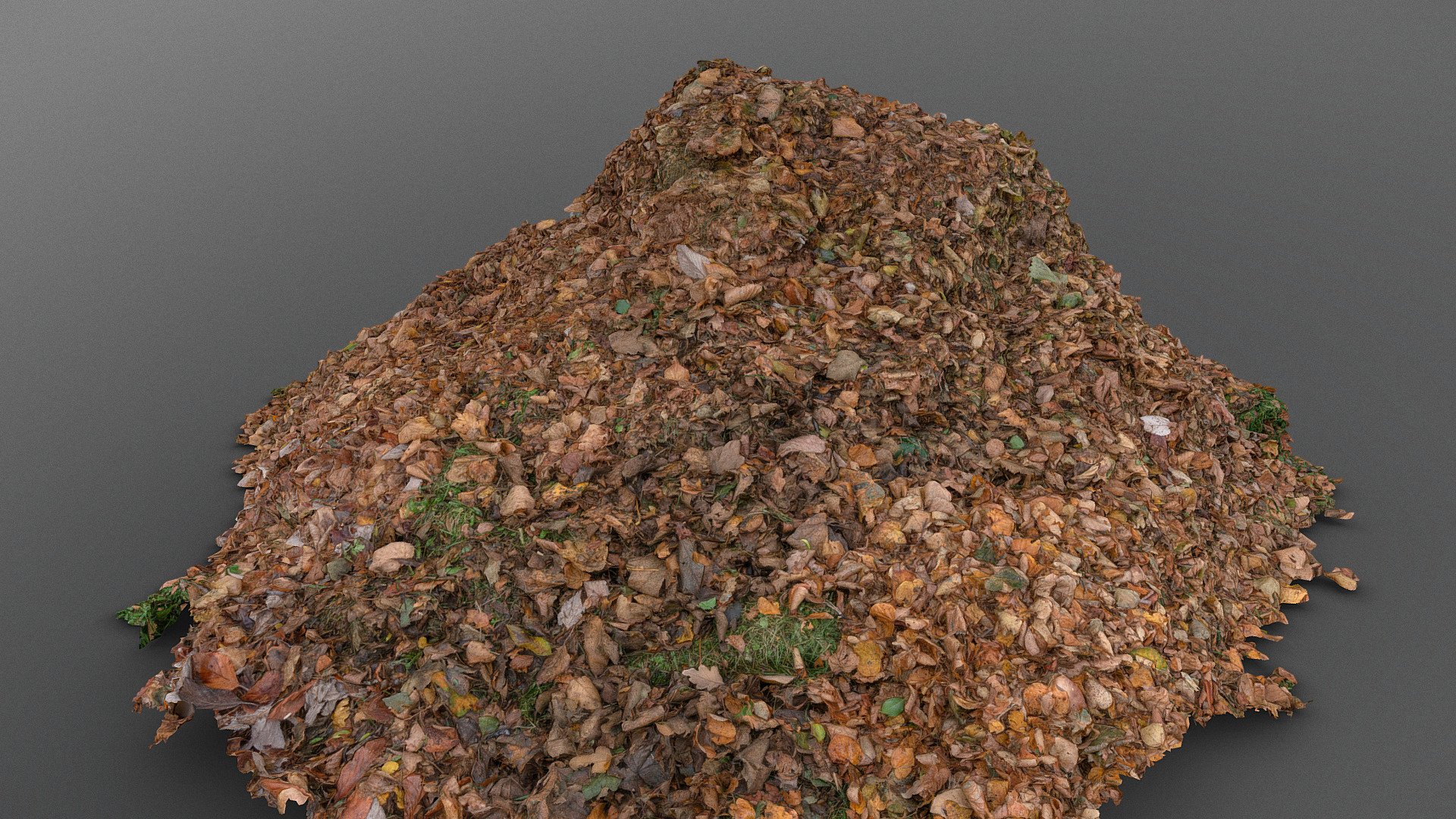 Large pile of leaves - Download Free 3D model by matousekfoto [48807f8 ...