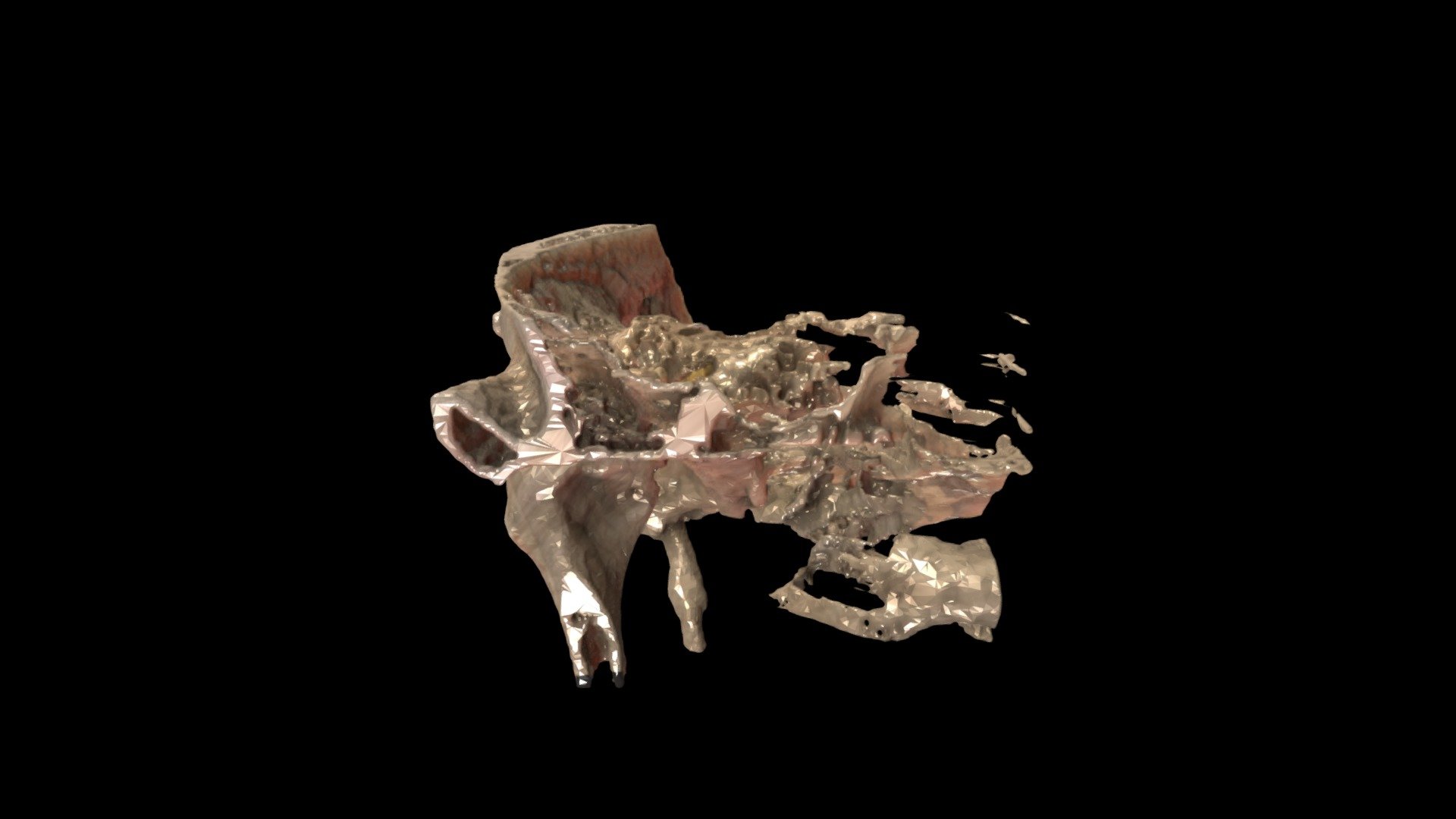 Temporal bone test - 3D model by catseyevisuals [48825e6] - Sketchfab
