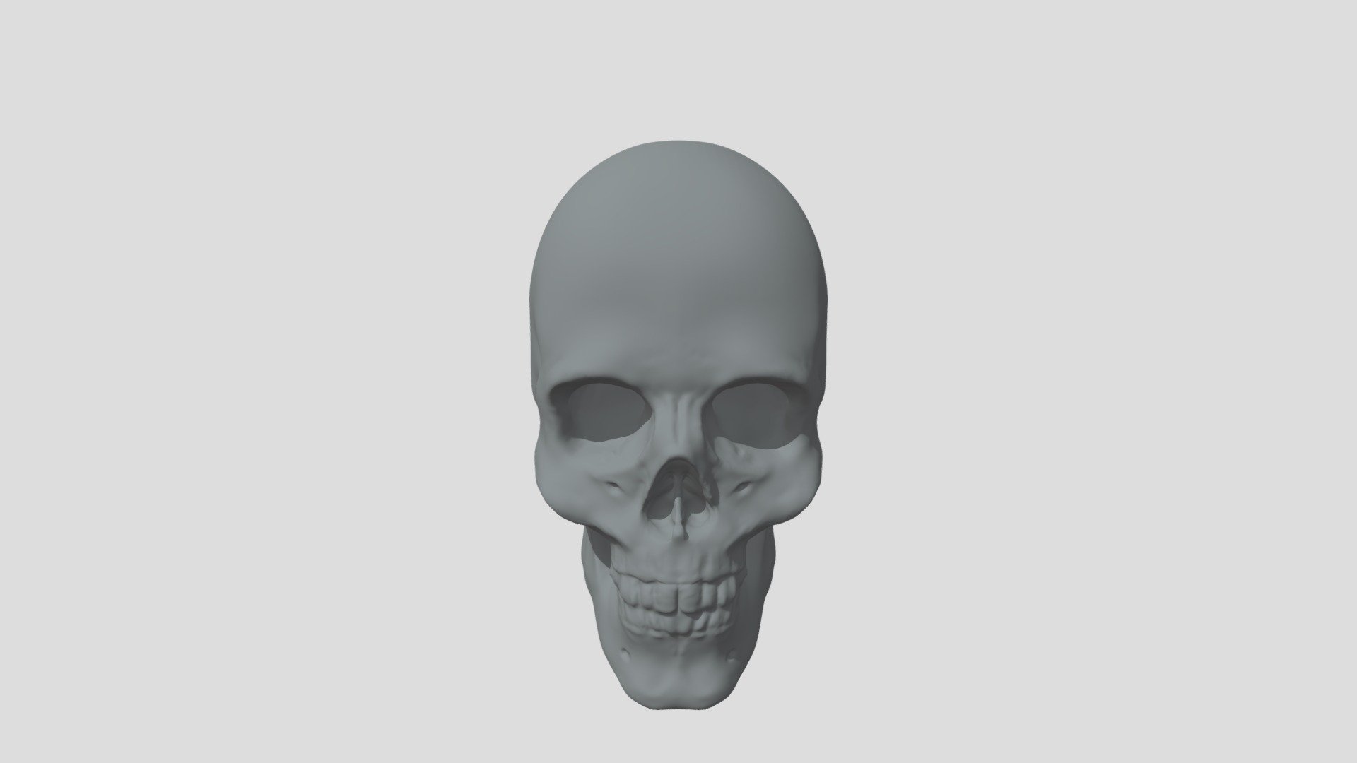 Skull - 3D model by Luci4 (@stormsoendergaard) [4885b1b] - Sketchfab