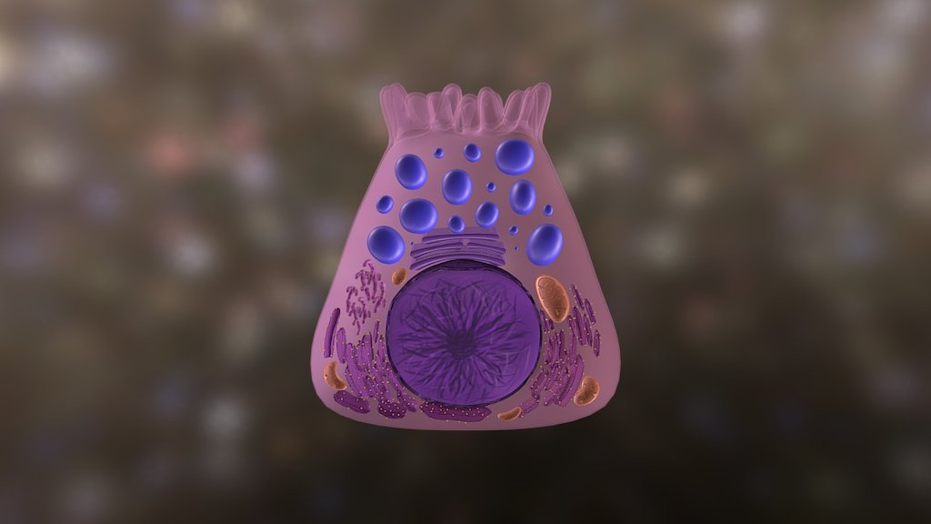 Chief Cell - 3D model by Shannon Gregory (@sgregoryillustration ...
