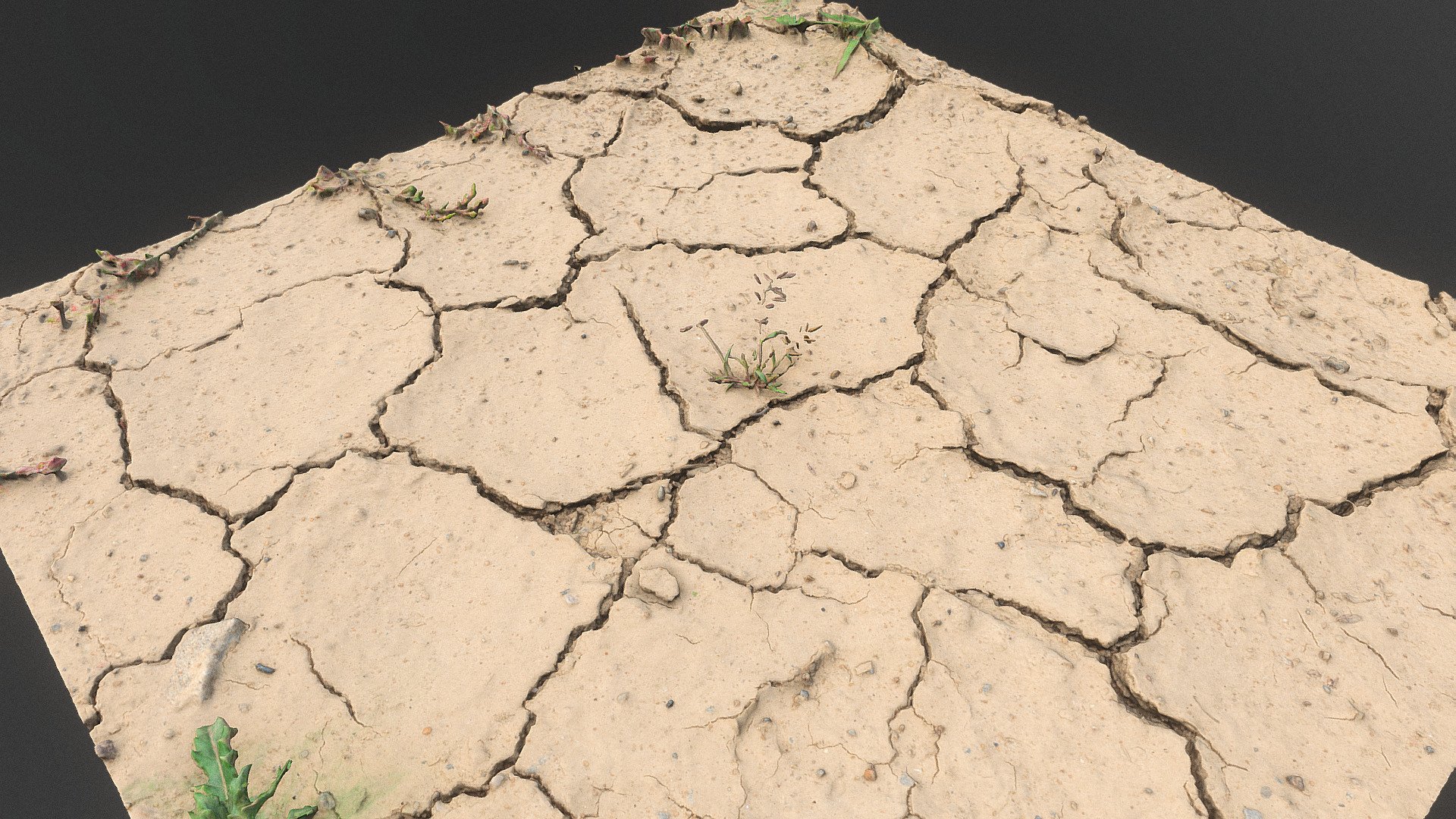 Drought dry soil desert puddle detail - Buy Royalty Free 3D model by matousekfoto [488d44a ...