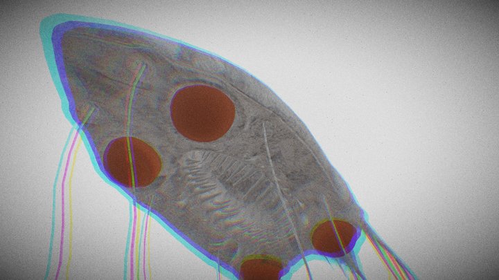 Pressure 3D models - Sketchfab