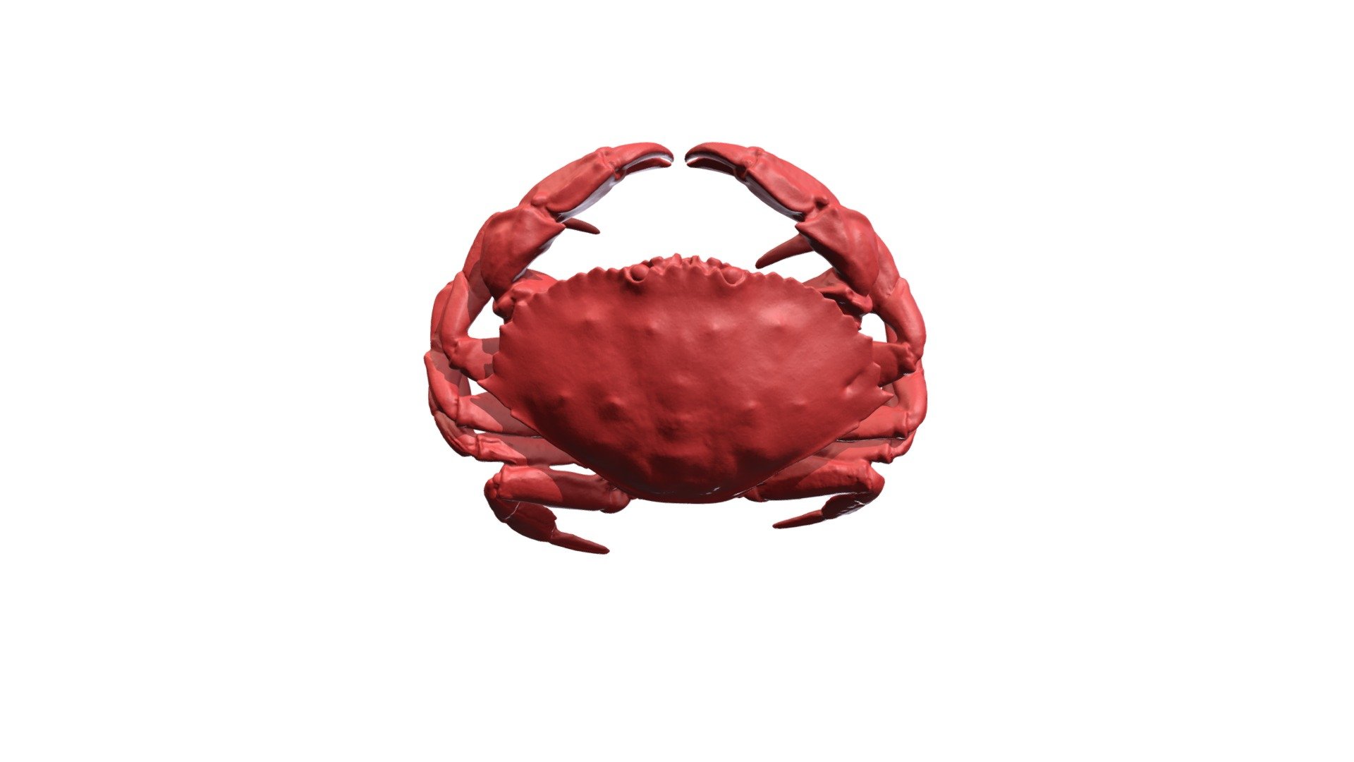 3D Scanned Crab - 3D model by Capture It In 3D (@CaptureMeIn3D ...