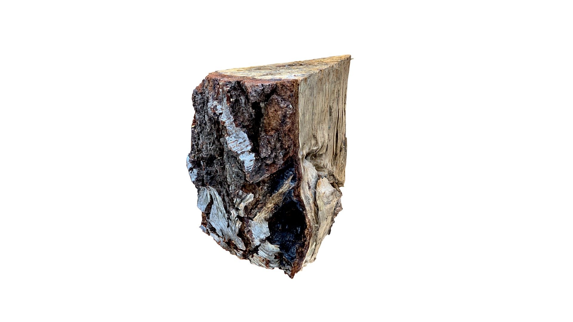 Chunk of wood - Buy Royalty Free 3D model by uStock [4897db1 ...