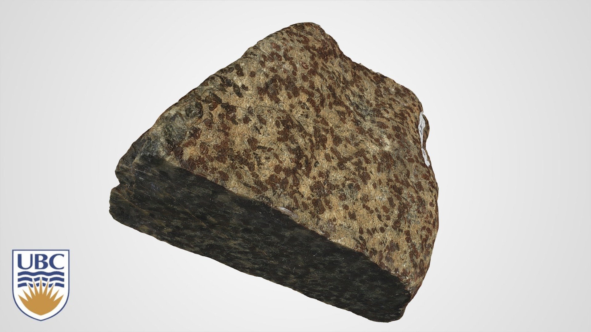 ST11-17 (Stillwater Complex) - 3D model by Nichole Moerhuis (UBC ...