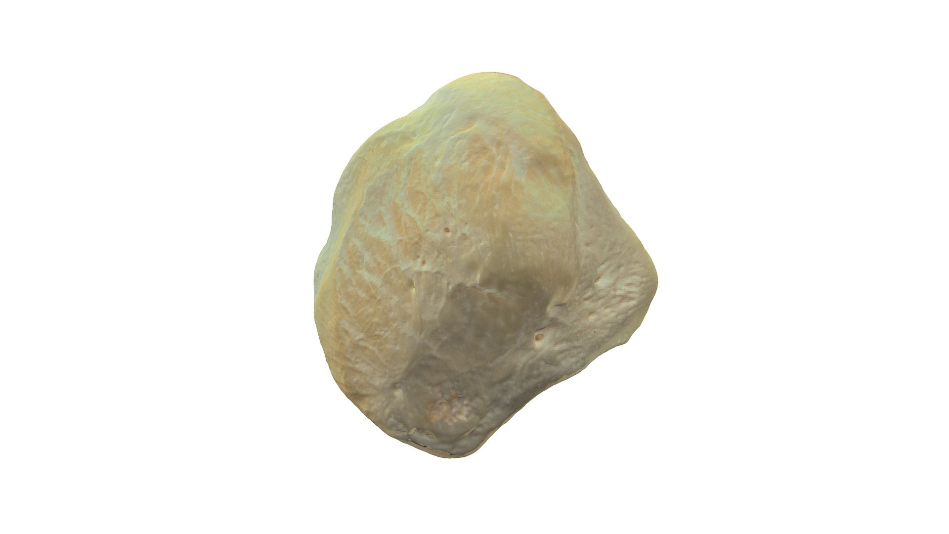 Patella (right), horse - 3D model by Vetanat.UZH [489e2ff] - Sketchfab