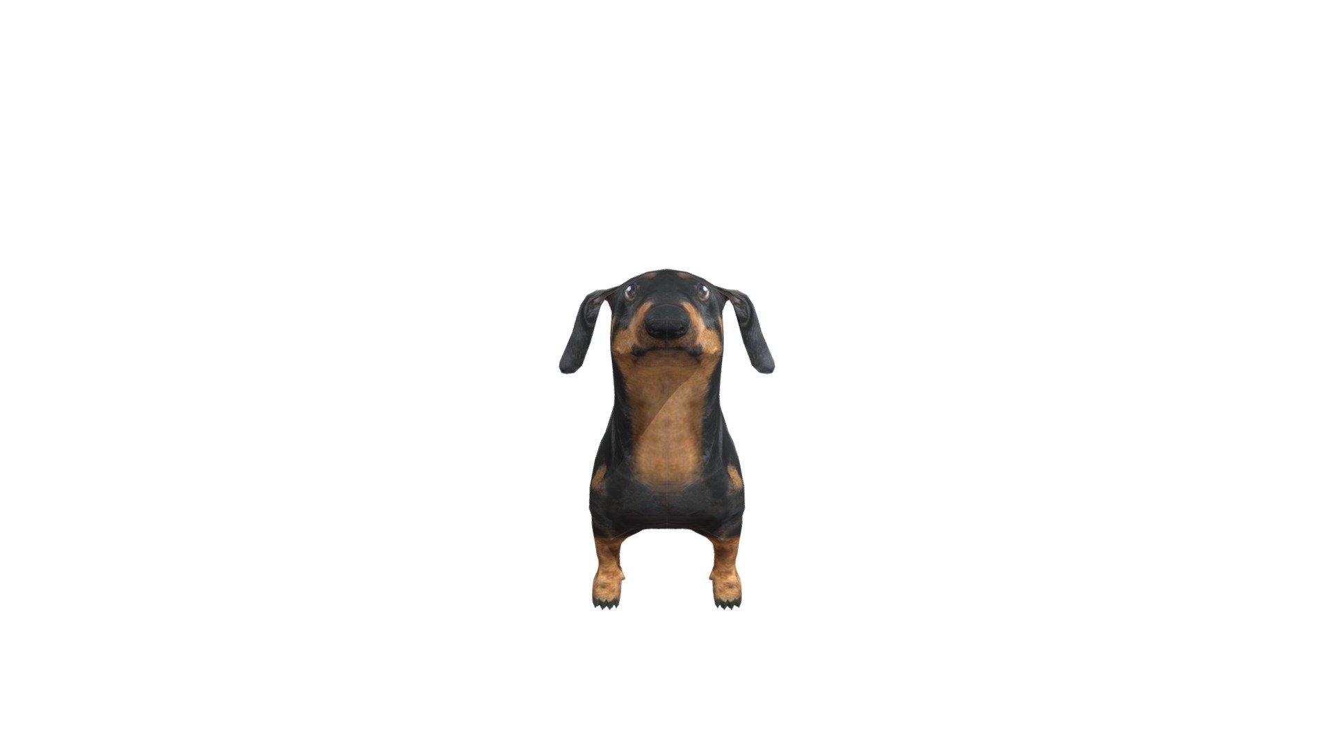 Sausage Dog - 3D model by onebang [489eba9] - Sketchfab