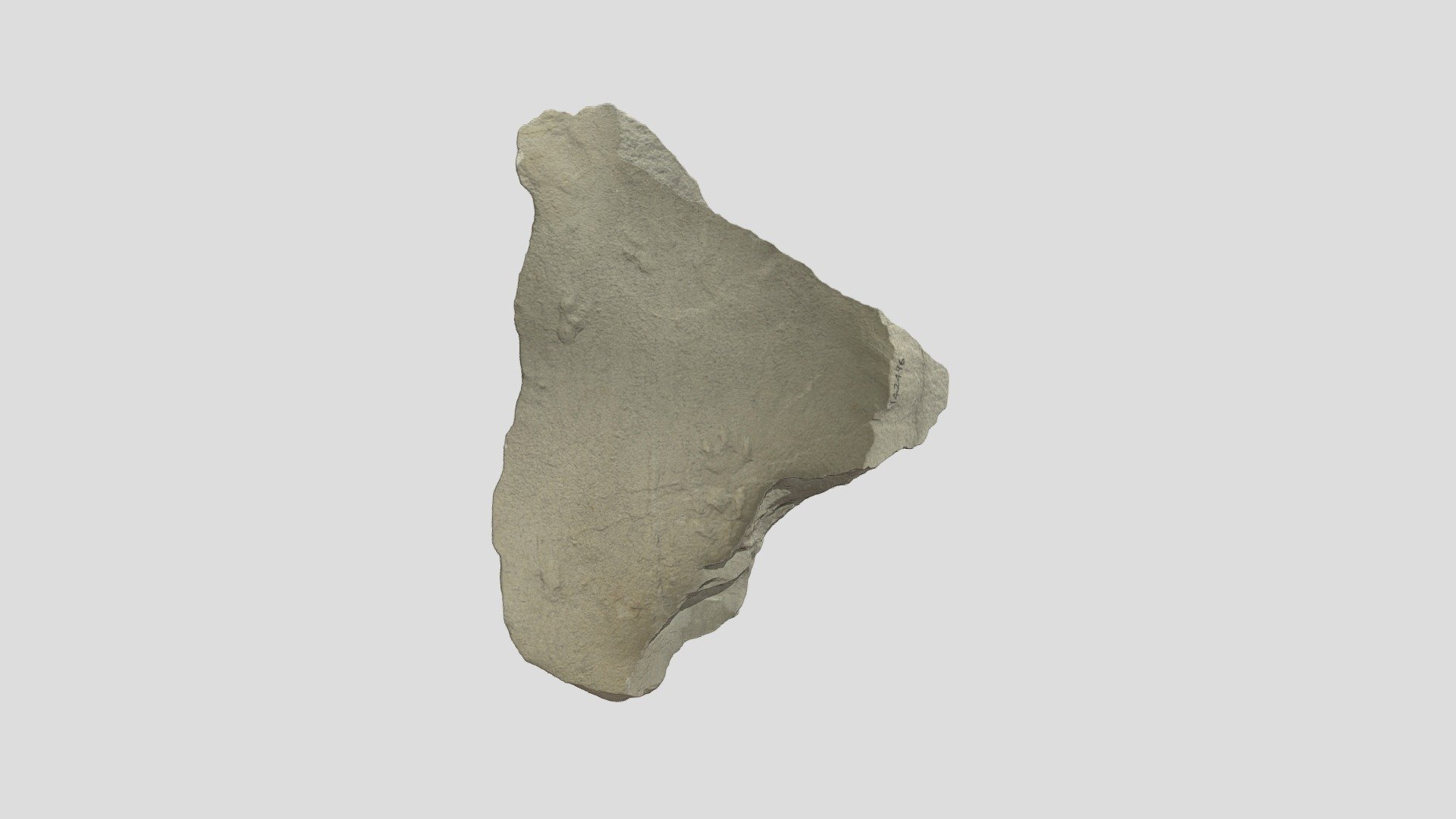 Tetrapod Footprints - Download Free 3D model by UIPaleoRepository ...
