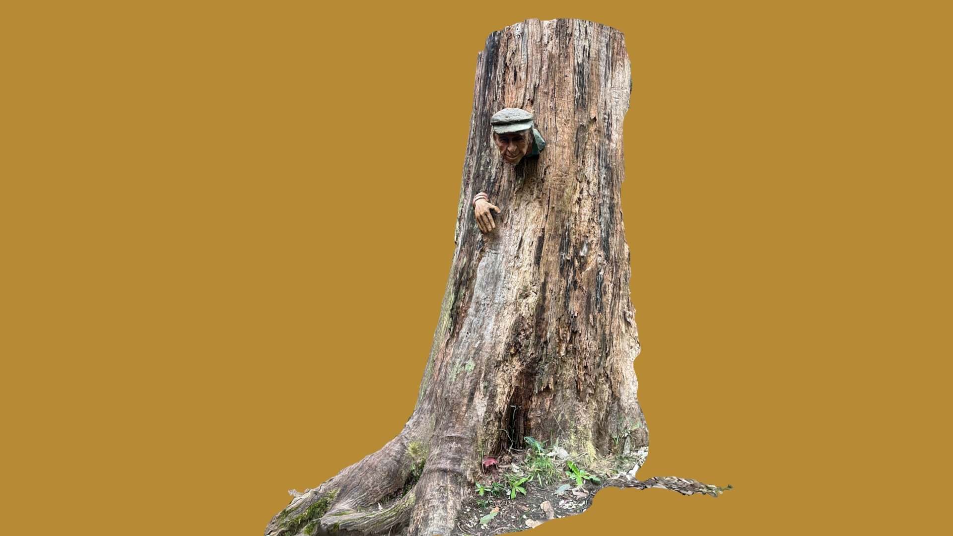 Old Man in Tree - Download Free 3D model by Andrei Alexandrescu ...