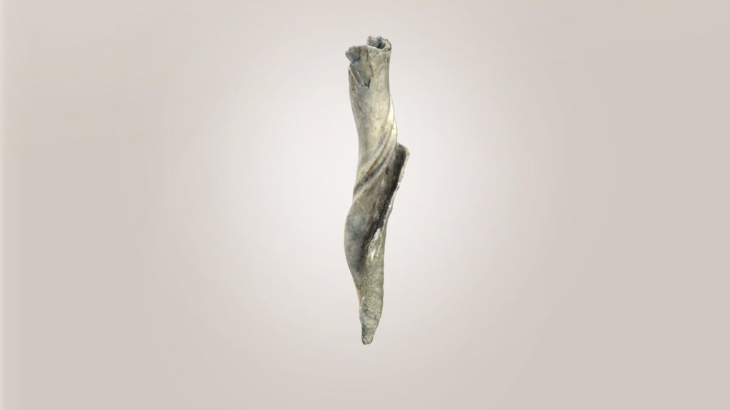 Native Calusa Shell Artifact from Florida Keys - 3D model by The Mel ...