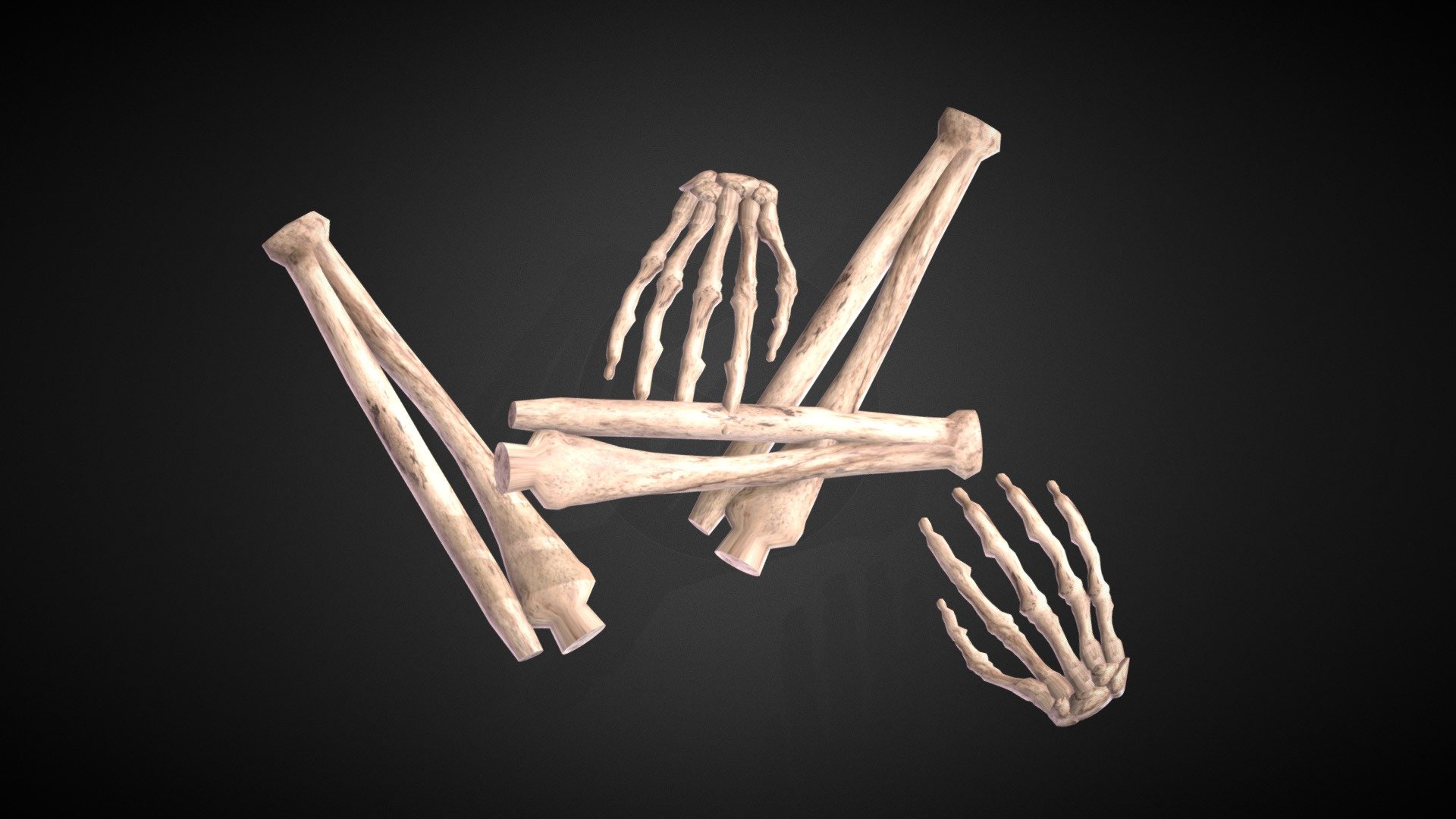 Bones - 3D model by Elin Abrahamsen (@elinab) [48a5b2f] - Sketchfab