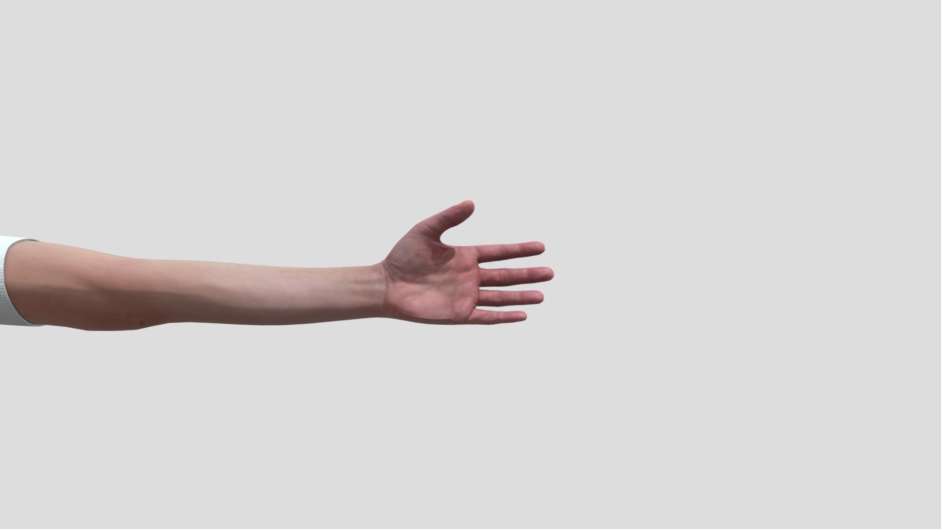 Hands and Arms - Download Free 3D model by Polskaball (@augustgamer1808 ...