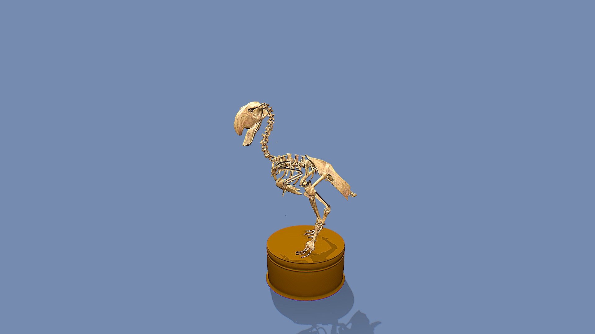 Kelenken - 3D model by ianisFromJupiter [48a9be1] - Sketchfab