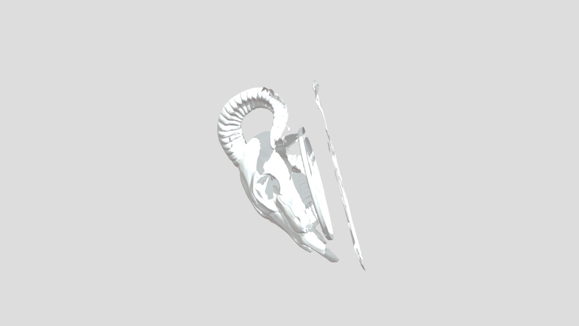 Skull On Lizard - 3D model by Marvel3D [48ad942] - Sketchfab