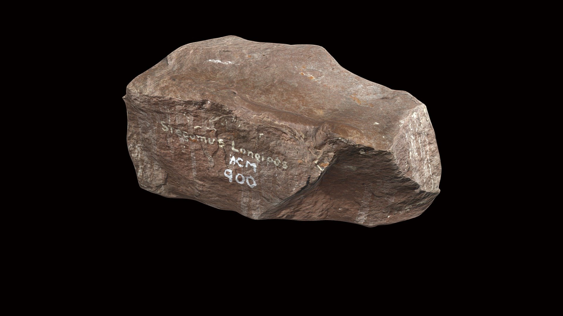 Model 63 - Fossil of Stegomosuchus longipes - Download Free 3D model by ...