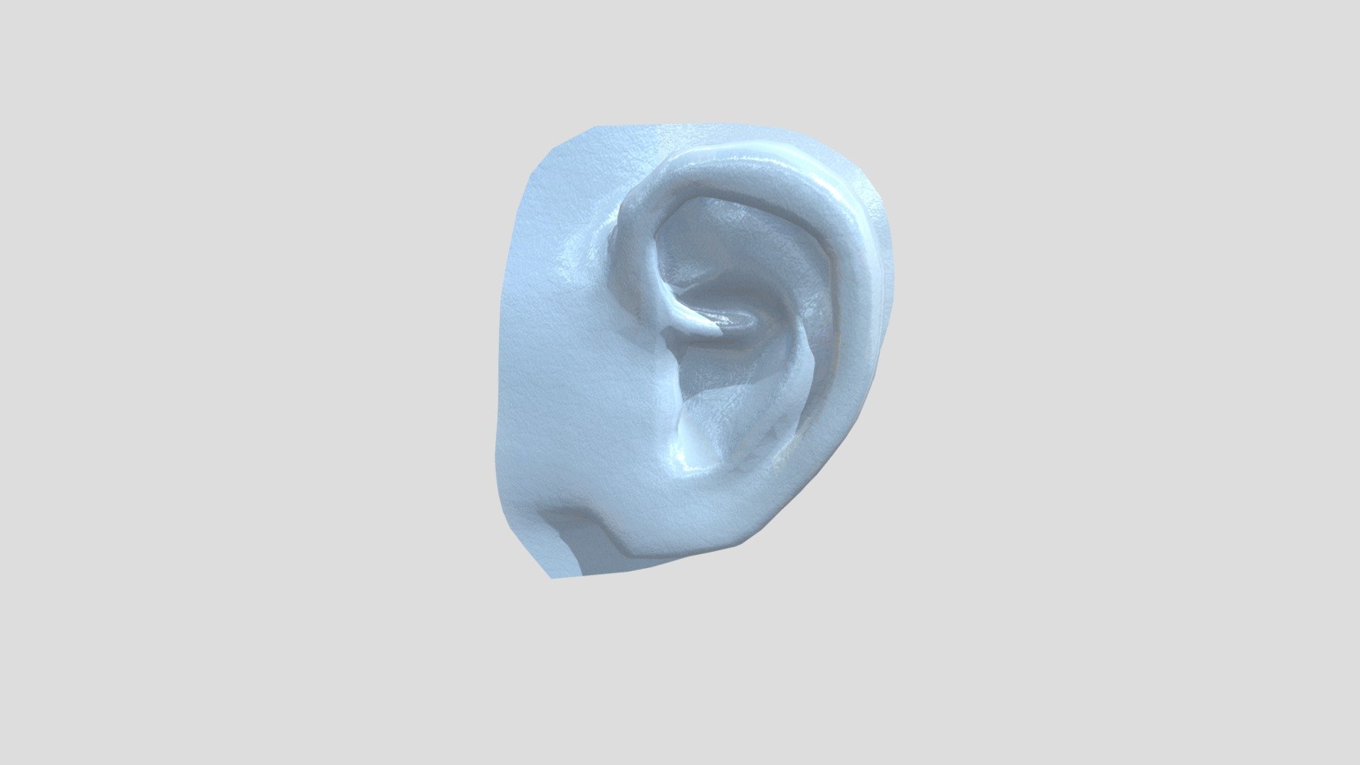 Ear - 3D model by whoisit325 [48b2c5c] - Sketchfab
