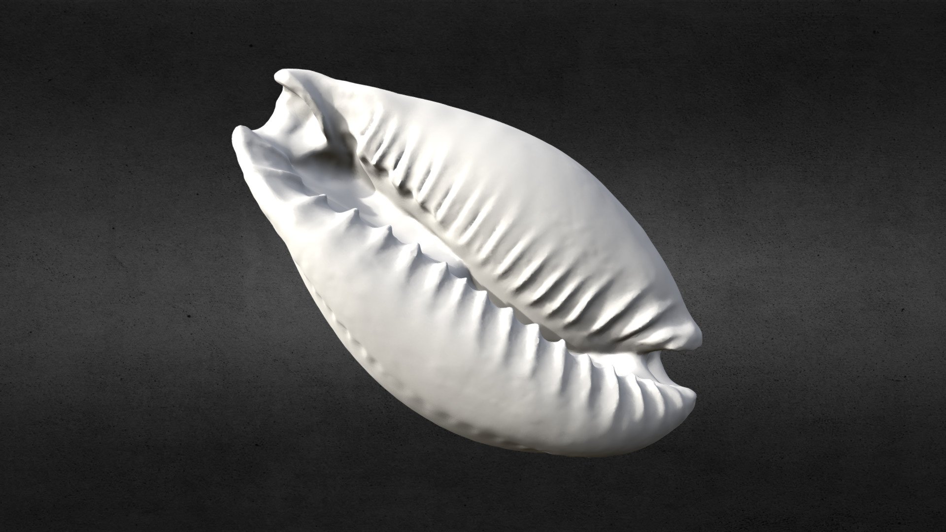 3D Scanned Oval Seashell (3D Printable) - Buy Royalty Free 3D model by ...