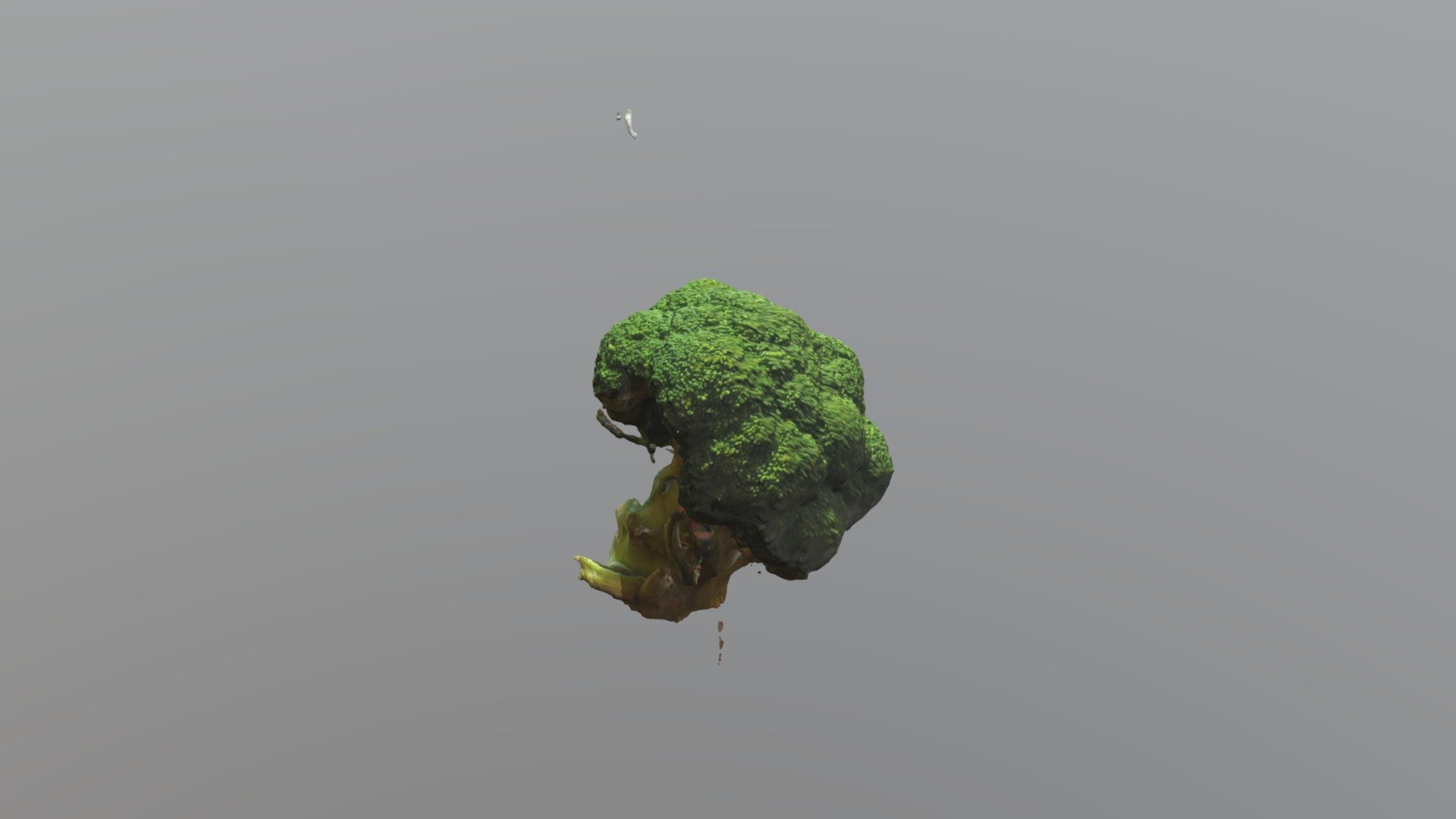 Broccoli by Gihan - Download Free 3D model by gihanredflame [48c4d2b ...