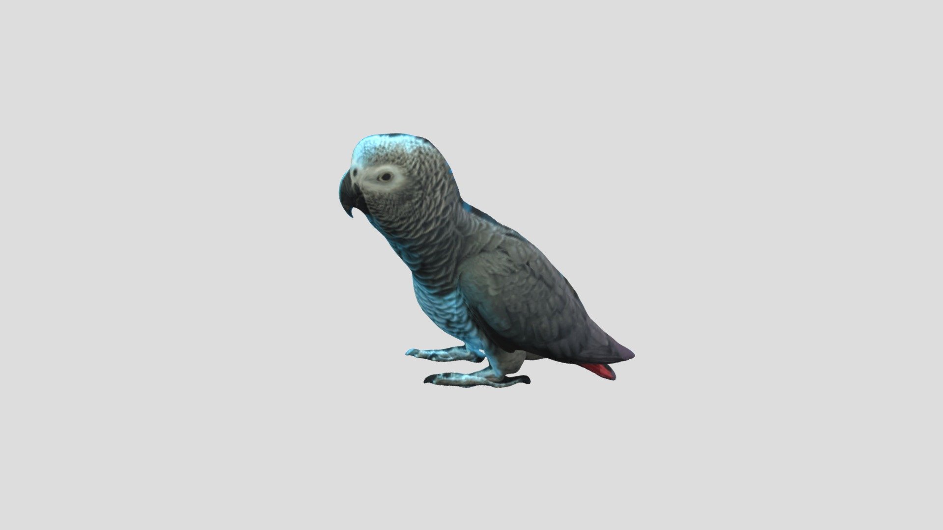 Dancin' Digby - 3D model by patrick.fram [48c52e8] - Sketchfab