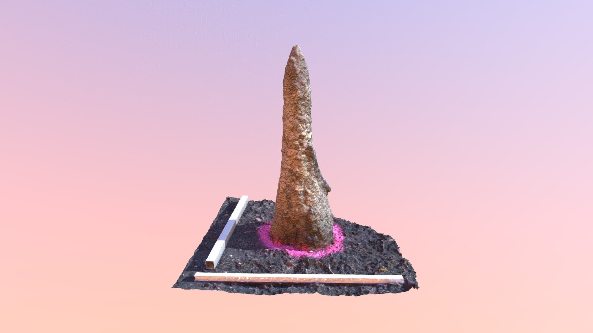 Termite mound Mn2-2016 - 3D model by pnauer [48c951a] - Sketchfab