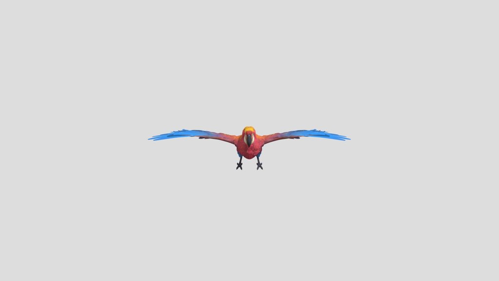 Rigged Birds - A 3D model collection by LizardSquare - Sketchfab