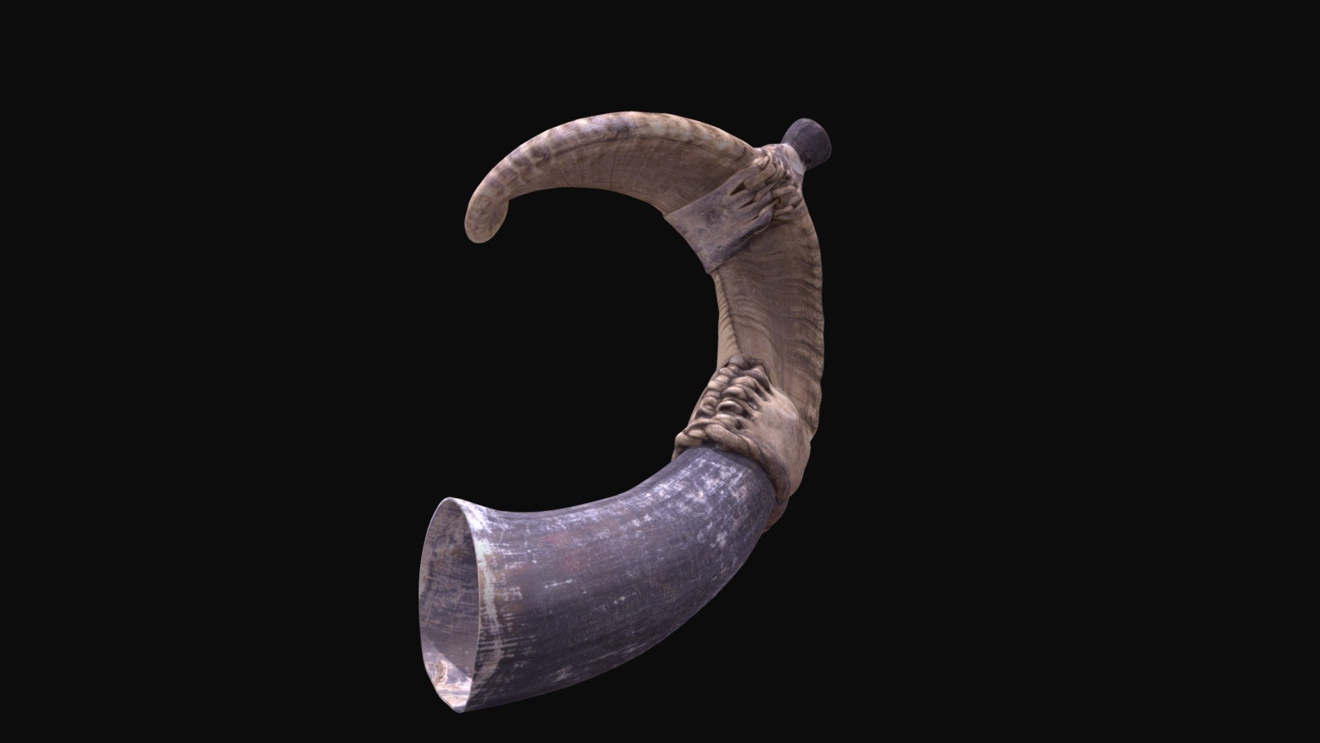 Cuerno ceremonial - 3D model by OER Immersive Multimedia Materials ...
