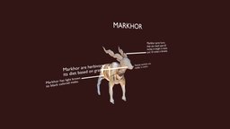 Carabao - Download Free 3D model by salarchana55 [a36a1ab] - Sketchfab