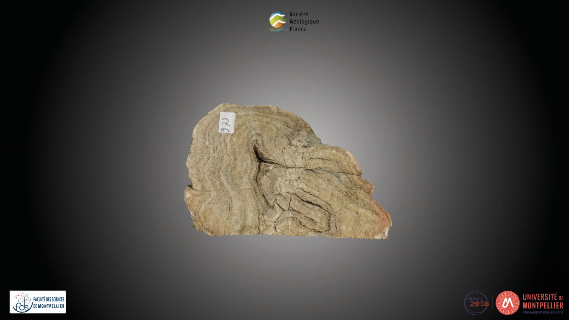 Roche - Métasédiment - Download Free 3D model by Société Géologique de ...