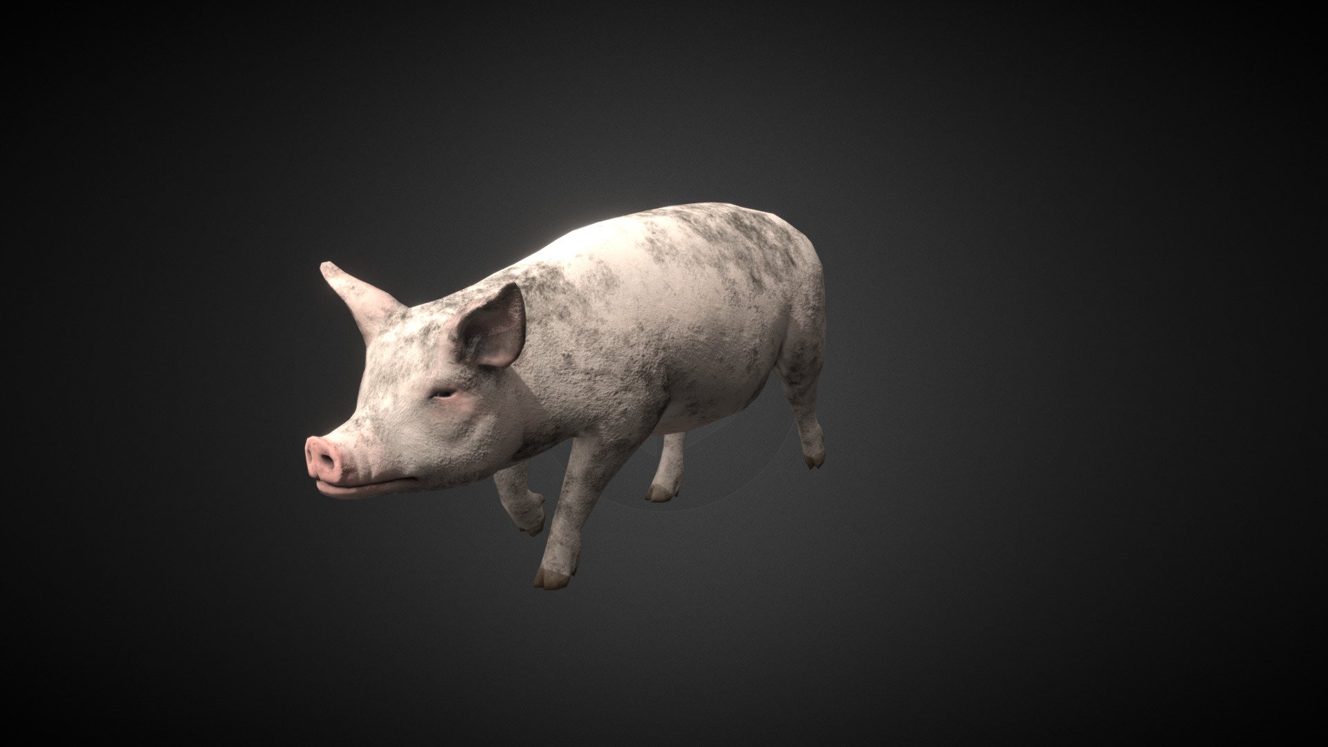 Pig - 3D model by begoston [48e4841] - Sketchfab
