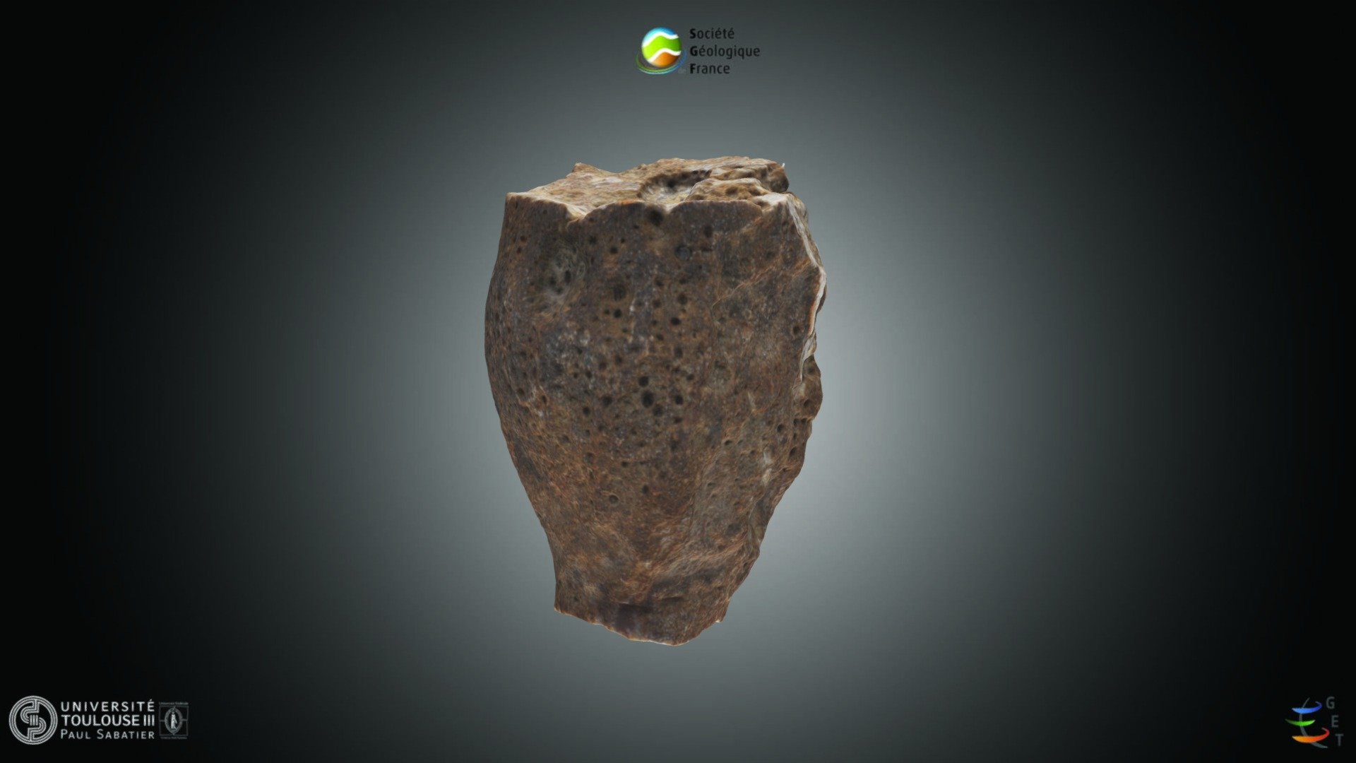 Porifere - Siphonia sp. - Download Free 3D model by Société Géologique ...